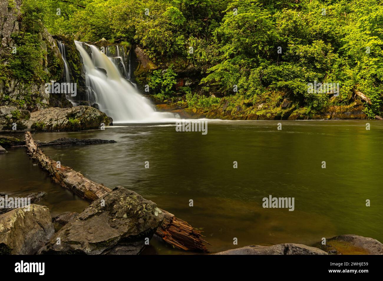 Abrams river hi-res stock photography and images - Alamy