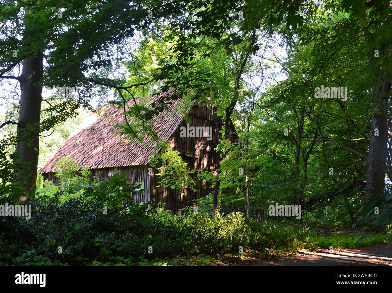 Historical Farm House in Spring in the Village Uetzingen, Lower Saxony ...