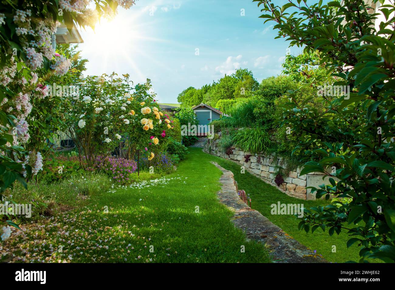 Beautiful landscaping in backyard in summer. Beautiful private home ...