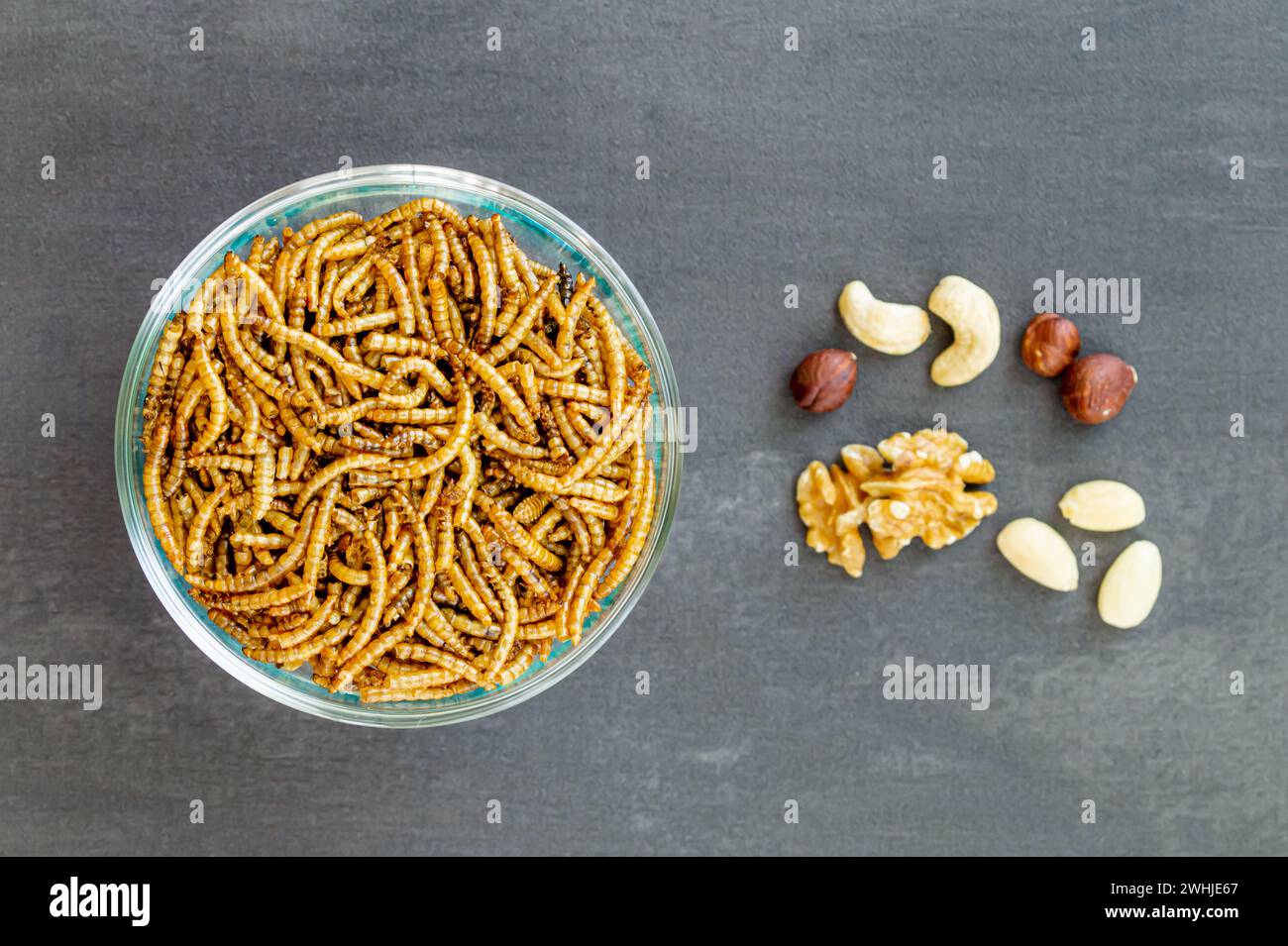 Snack insects. Mealworm larvae as food and variation of nuts. Mealworms ...