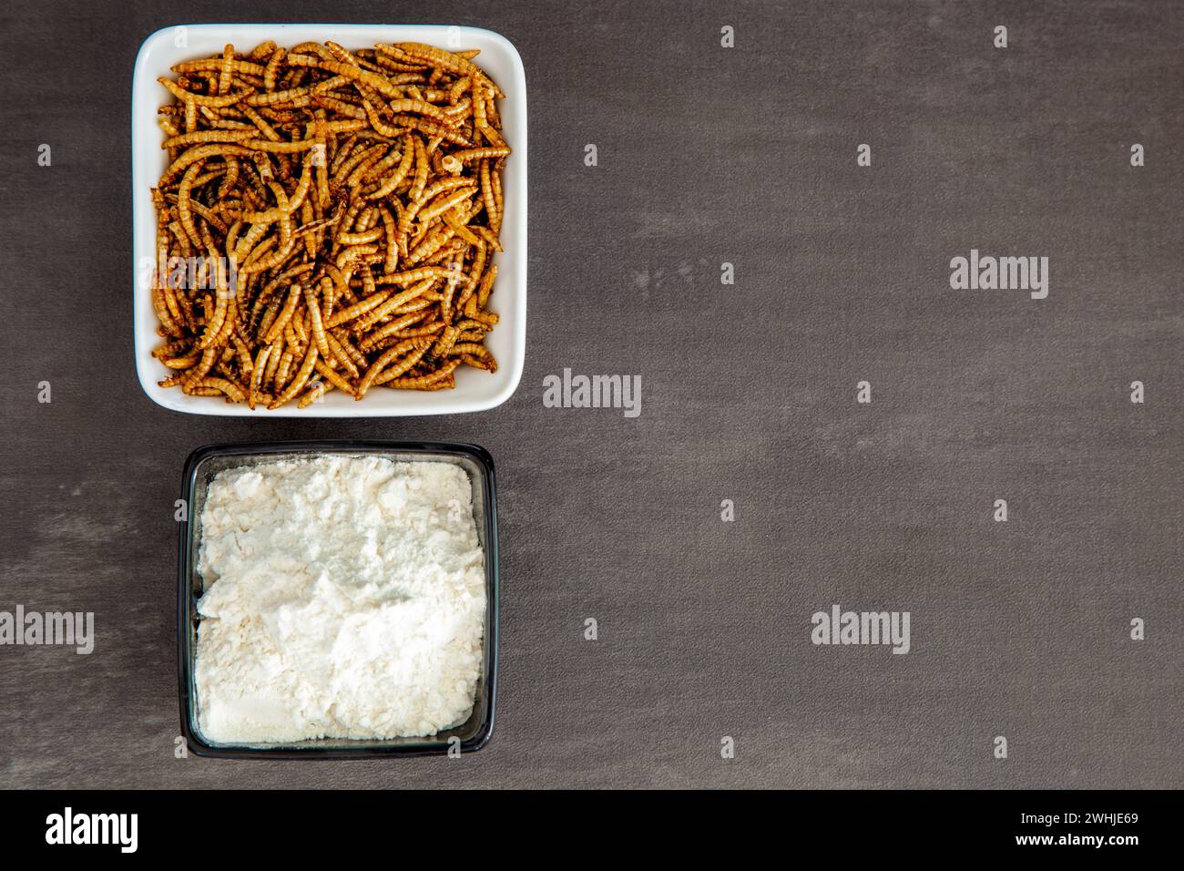 Snack insects. Mealworm larvae as food and a bowl with flour. Mealworms ...