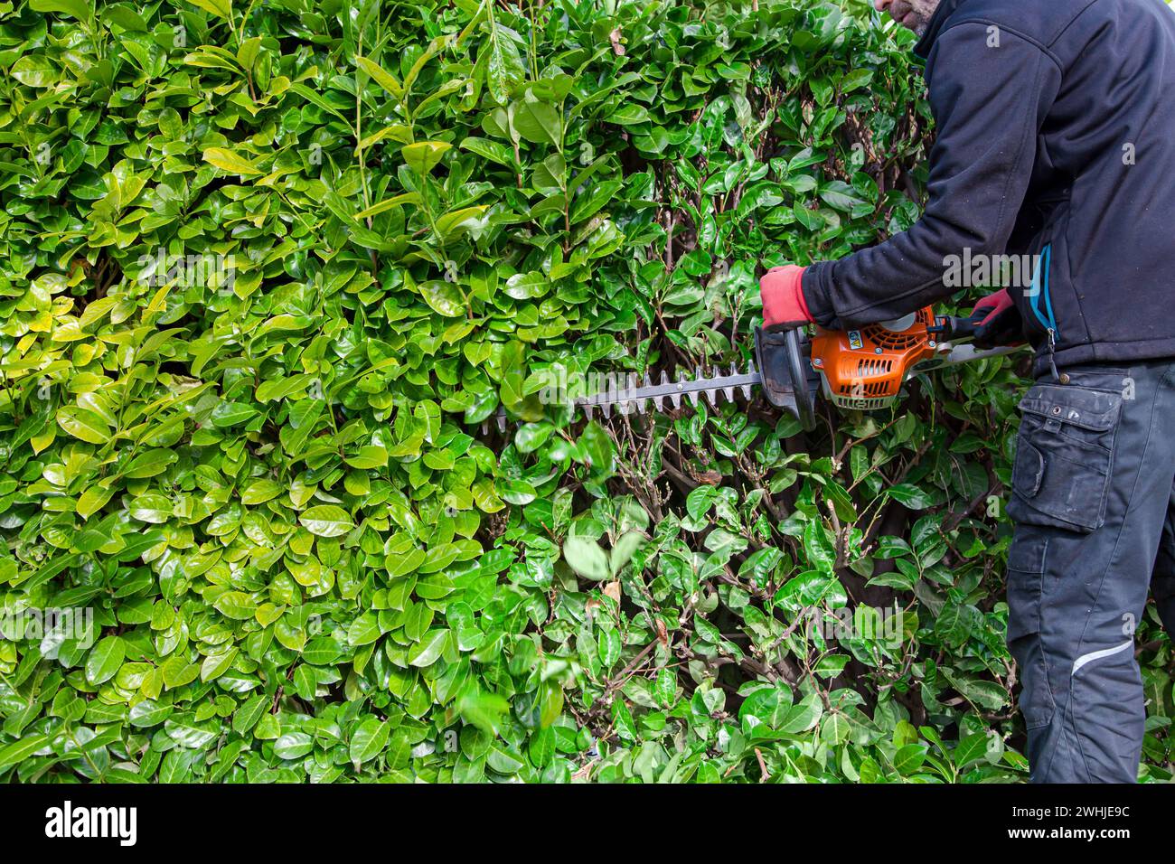 Men in bush hi-res stock photography and images - Alamy