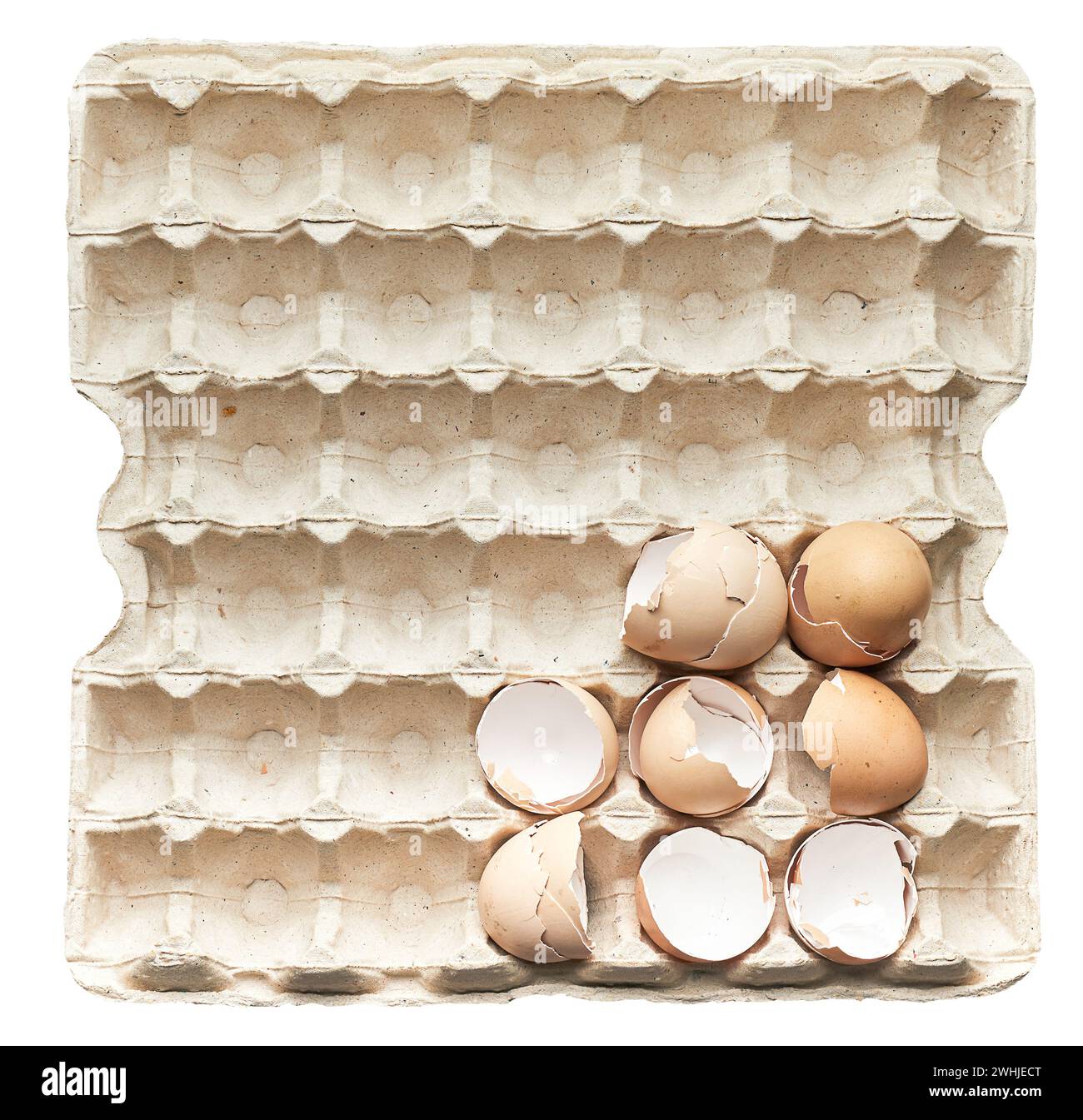 Eggshell in a paper tray, top view Stock Photo - Alamy