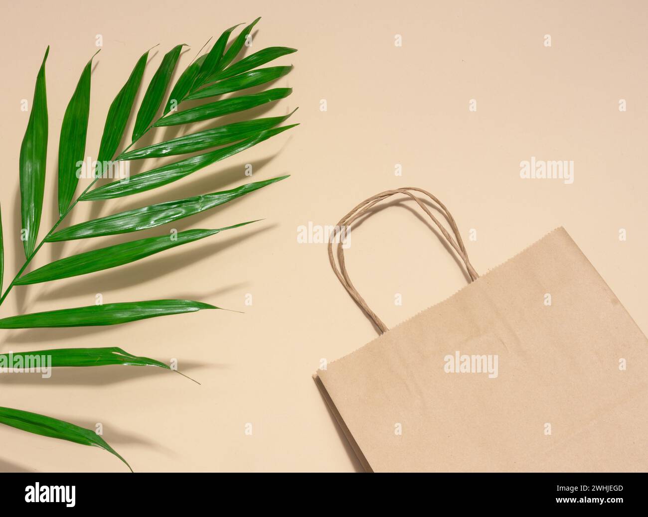 Empty disposable brown kraft paper bag with handles on beige background ...