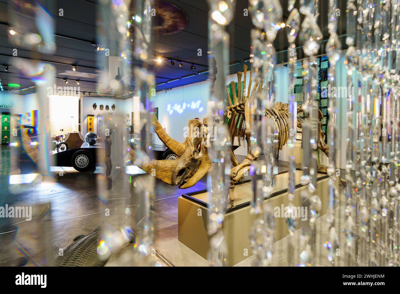 Curtain of Swarovski crystals and fossilized skeleton of Siberian ...