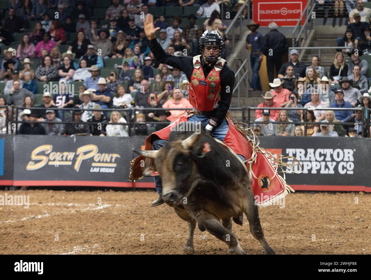 Zampollo hi-res stock photography and images - Alamy