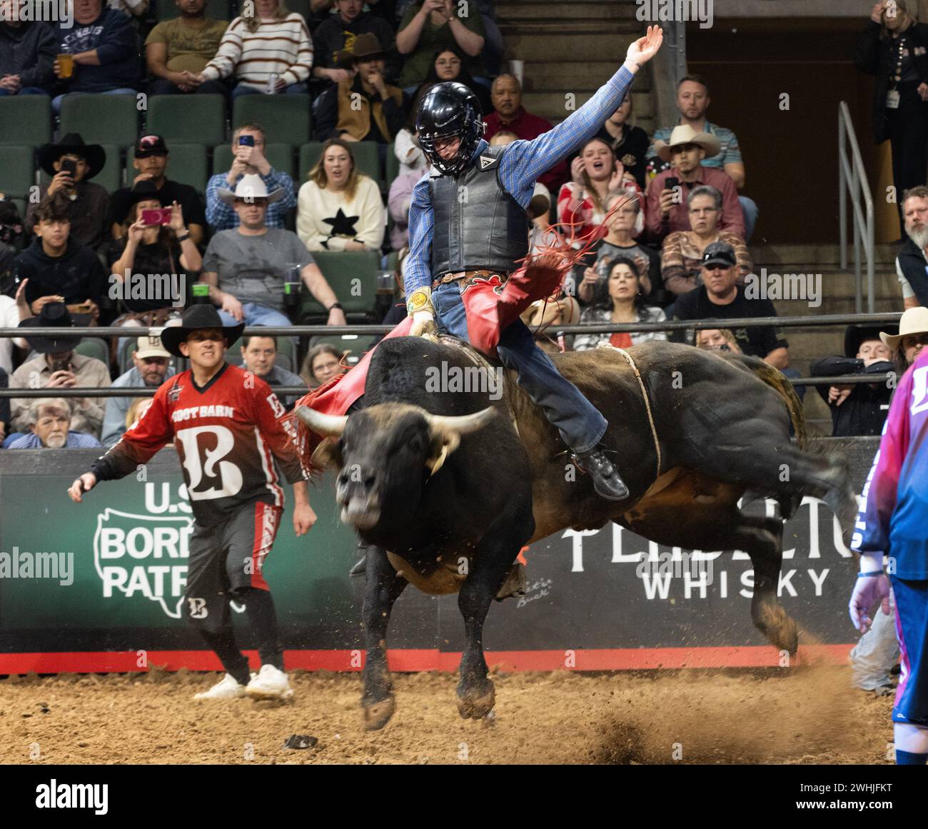 Stephanie anderson hi-res stock photography and images - Alamy