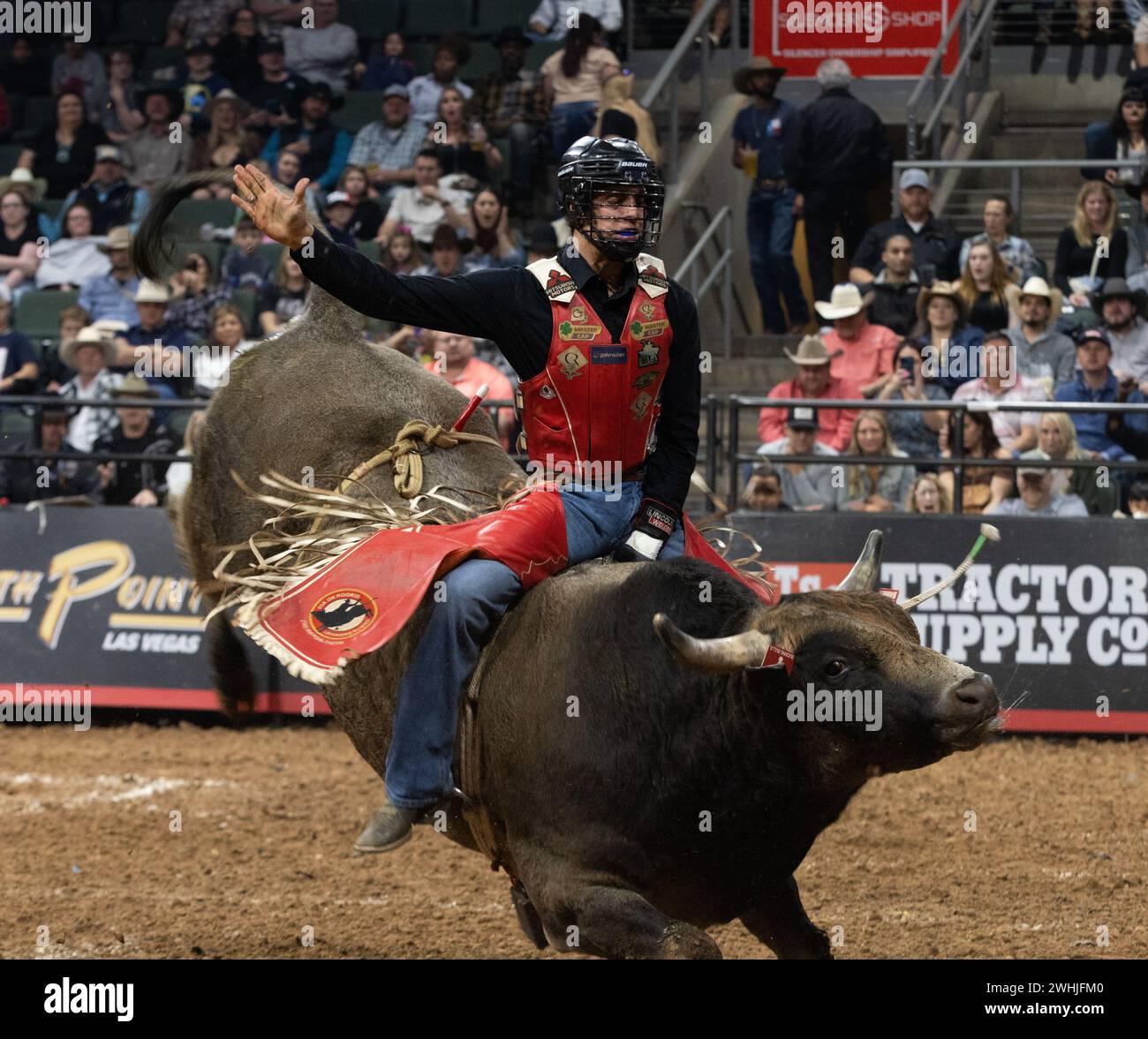 Cedar Park, Usa . 09th Feb, 2024. Leandro Zampollo rides a bull named ...