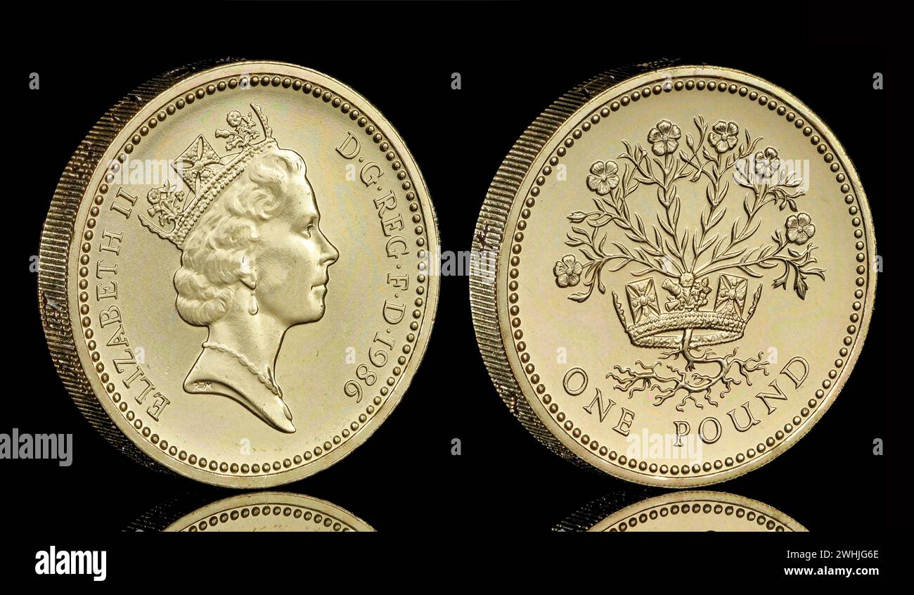 Raphael maklouf one pound coin hi-res stock photography and images - Alamy