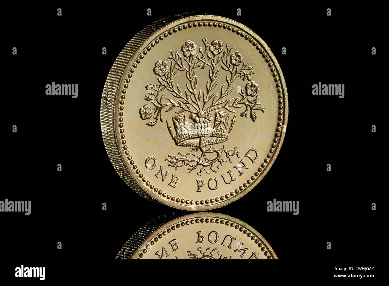 1986 United Kingdom £1 coin. The reverse design shows a Northern ...