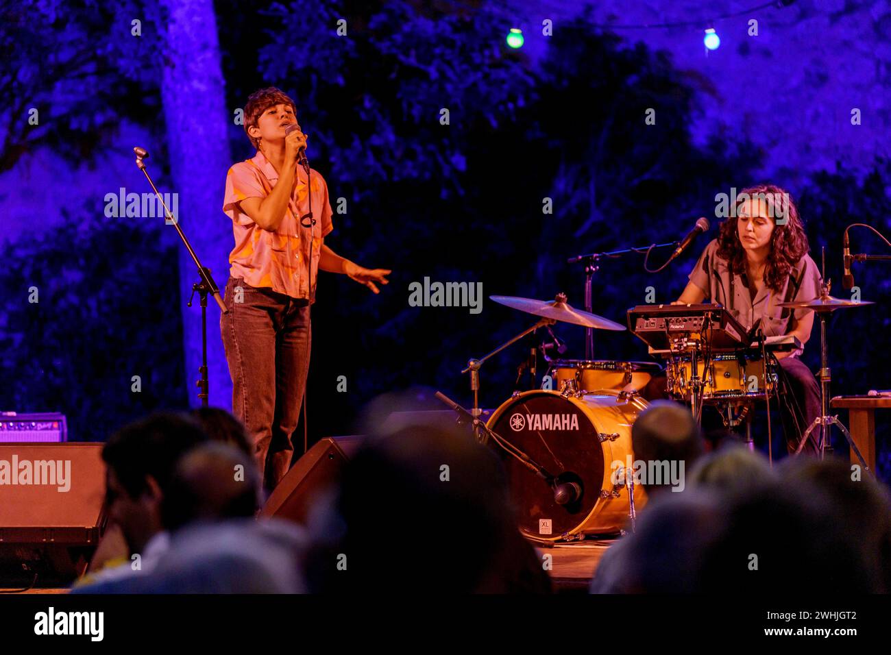 Concert art culture classical hi-res stock photography and images - Alamy