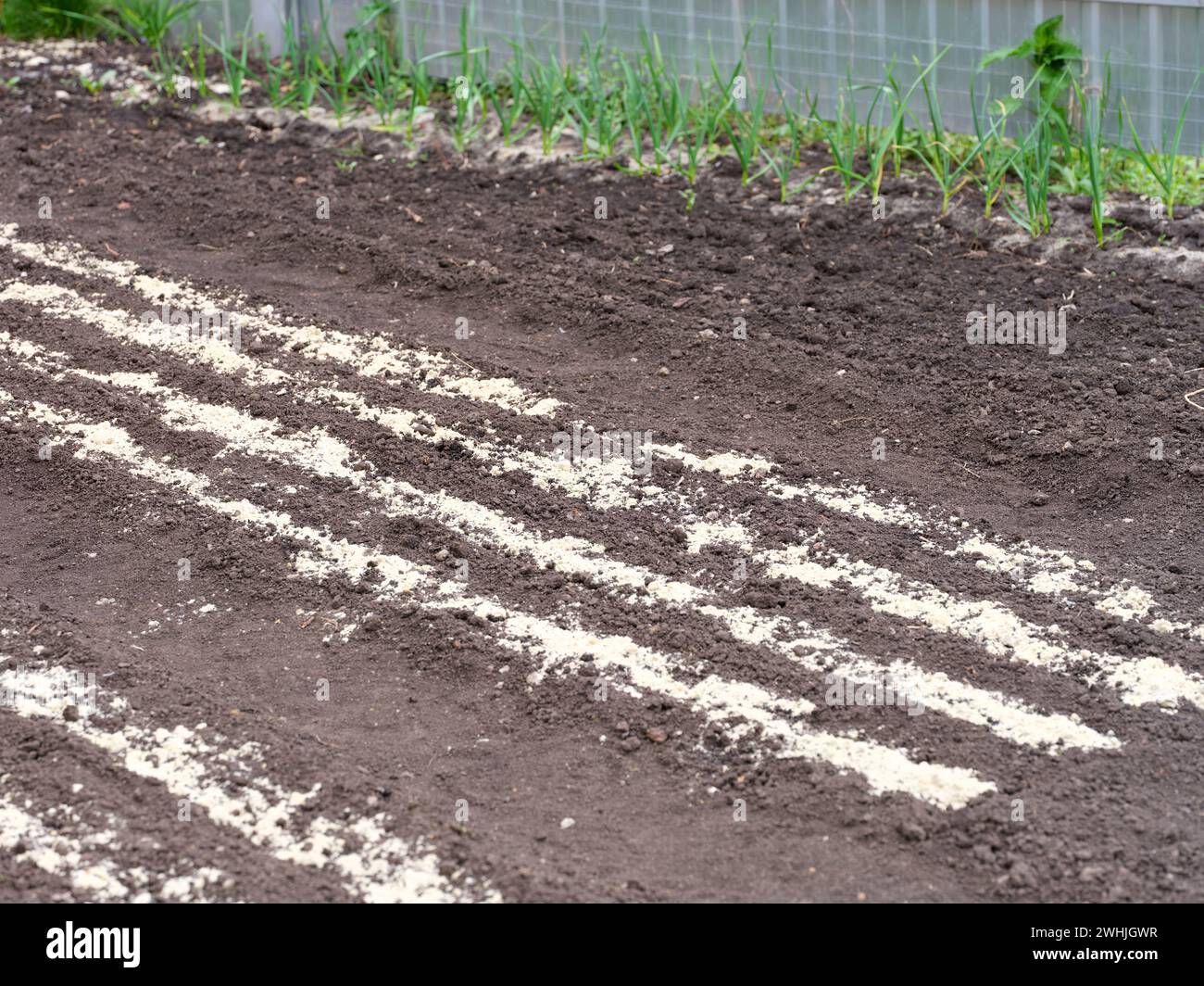 Seedbed seedbeds hi-res stock photography and images - Alamy