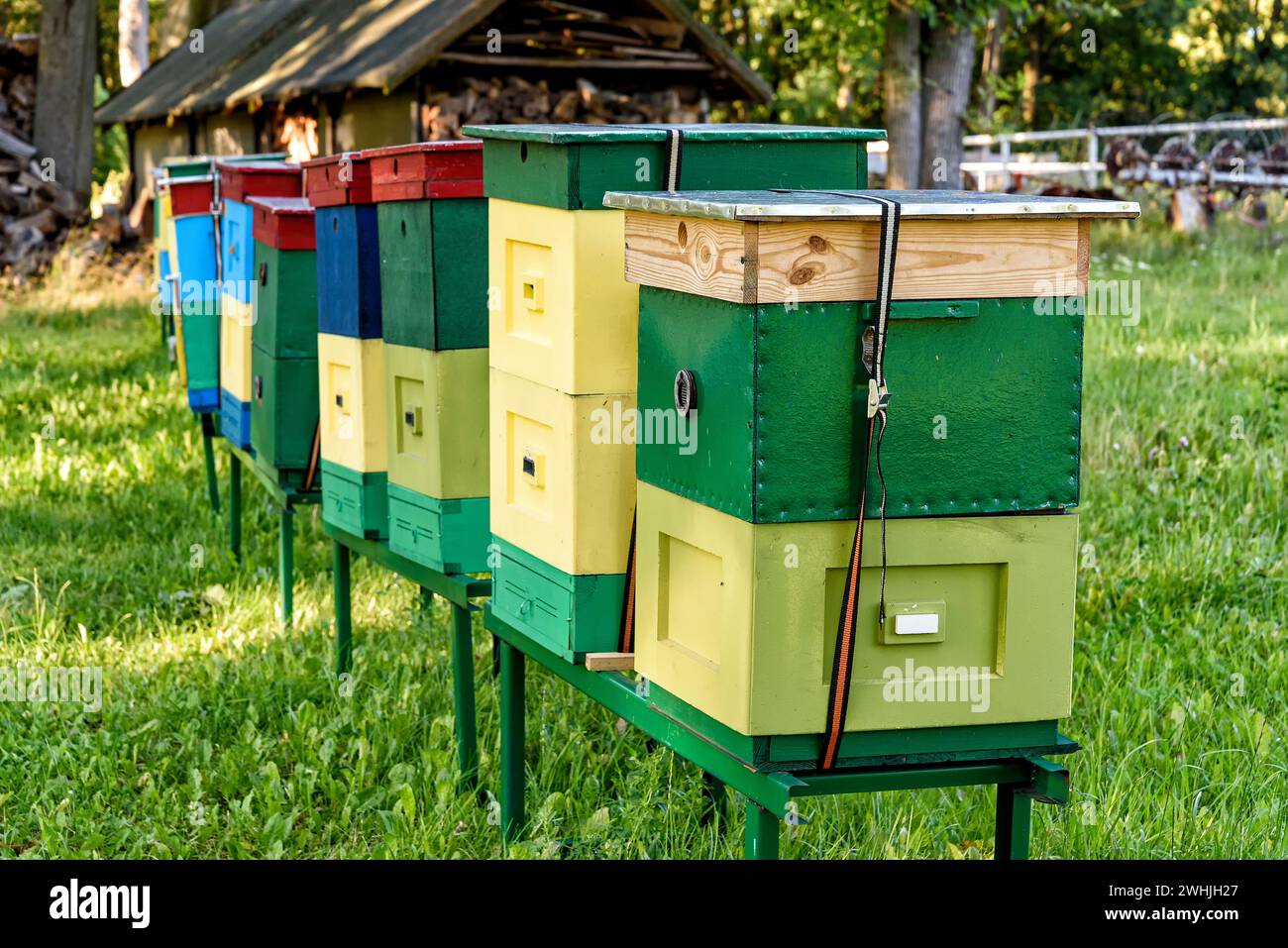 Beehives apiary hi-res stock photography and images - Alamy
