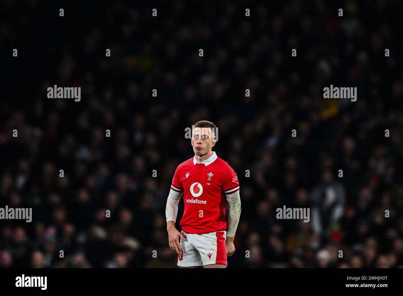 Cameron Winnett of Wales during the 2024 Guinness 6 Nations match ...