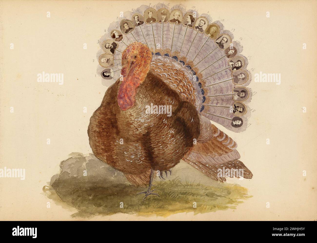 Photocollage of Victorian head portraits all placed in the feathers of ...