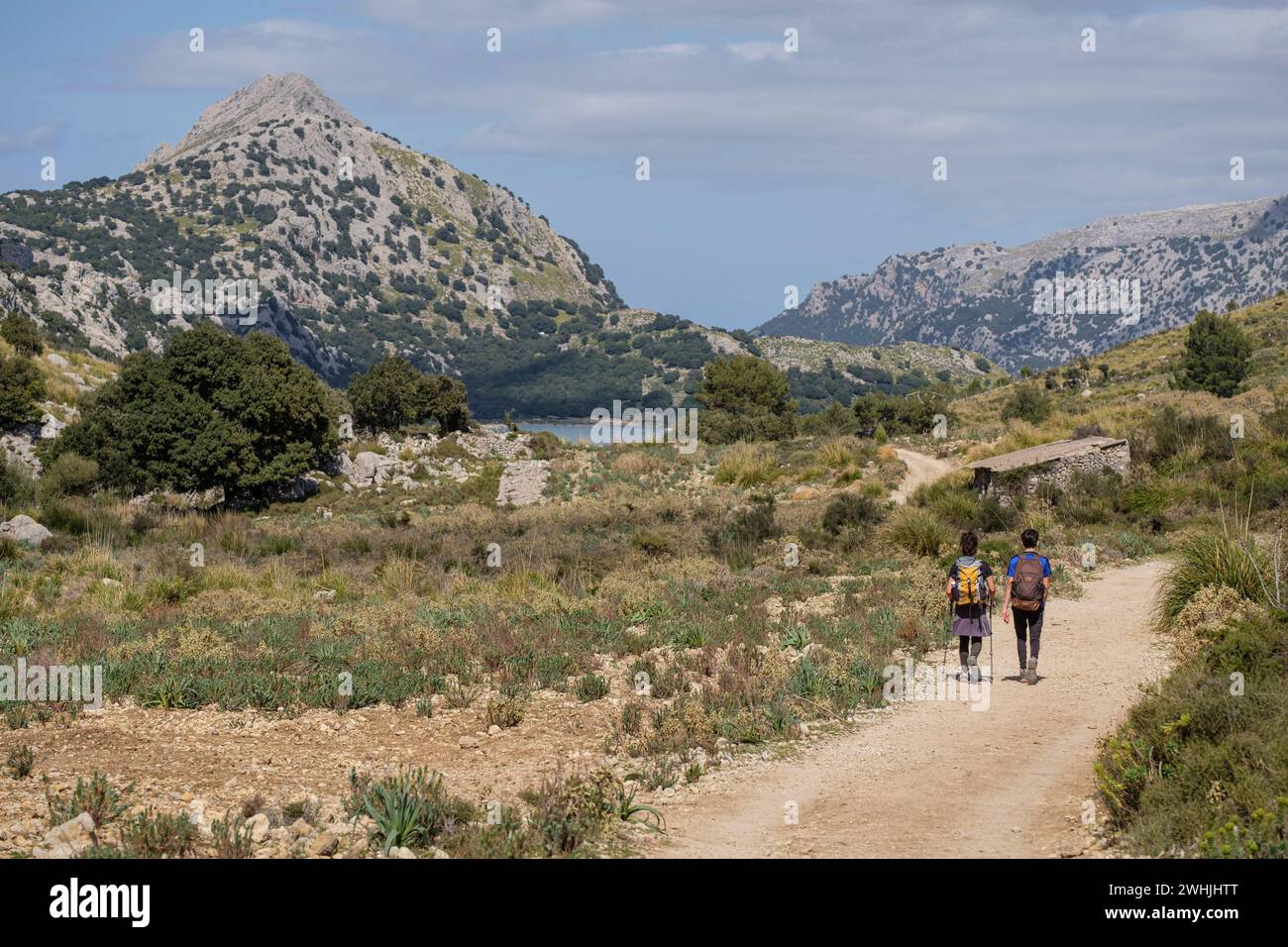 Dry stone path GR221 Stock Photo - Alamy