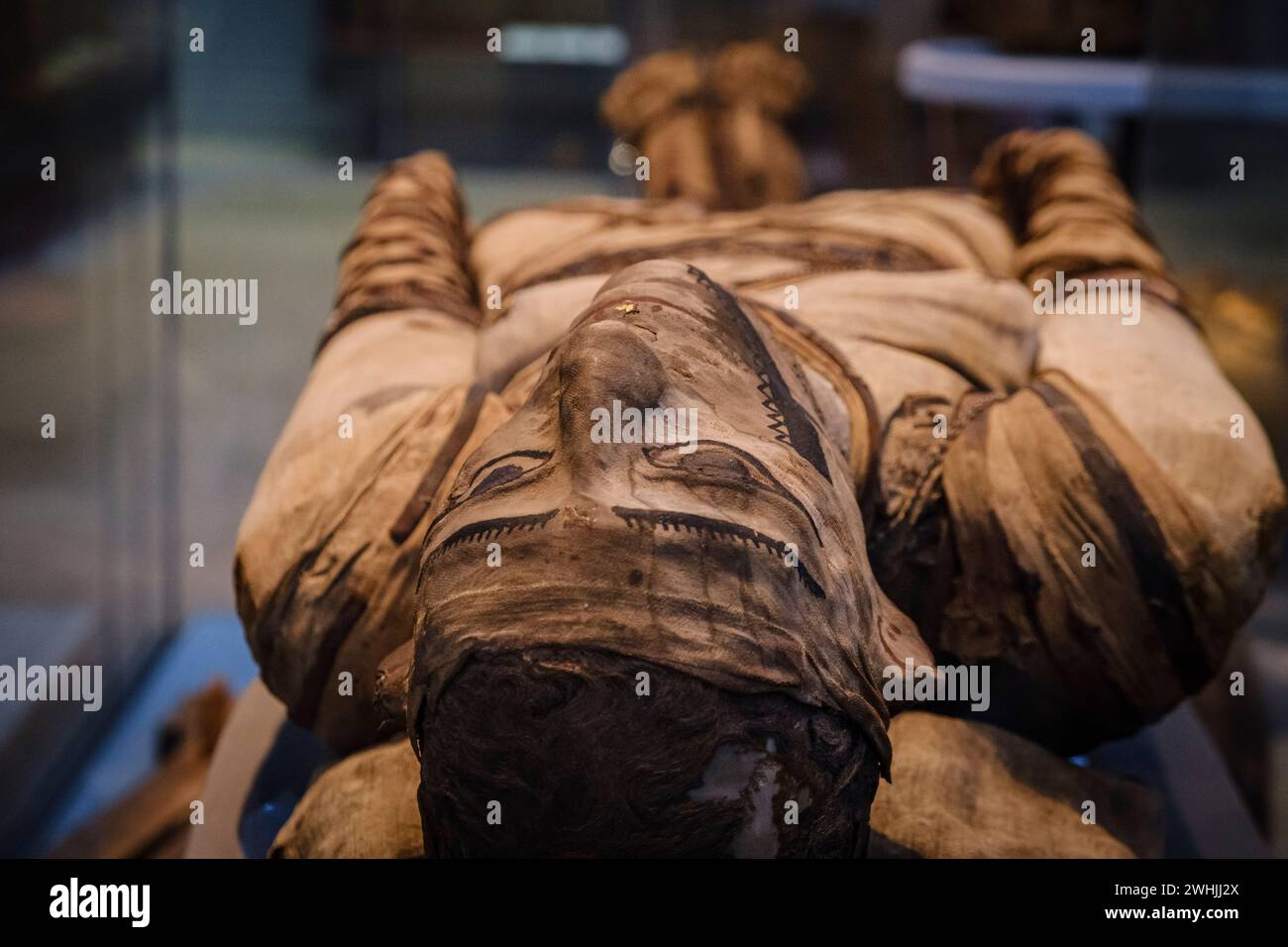 Young egyptian man hi-res stock photography and images - Alamy