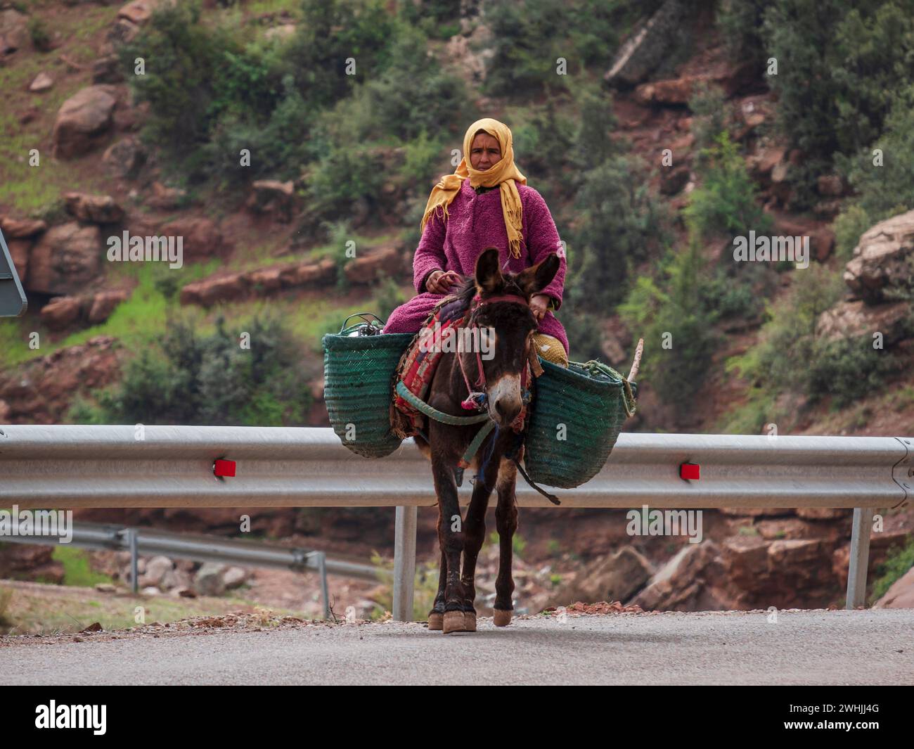 Woman riding donkey hi-res stock photography and images - Alamy