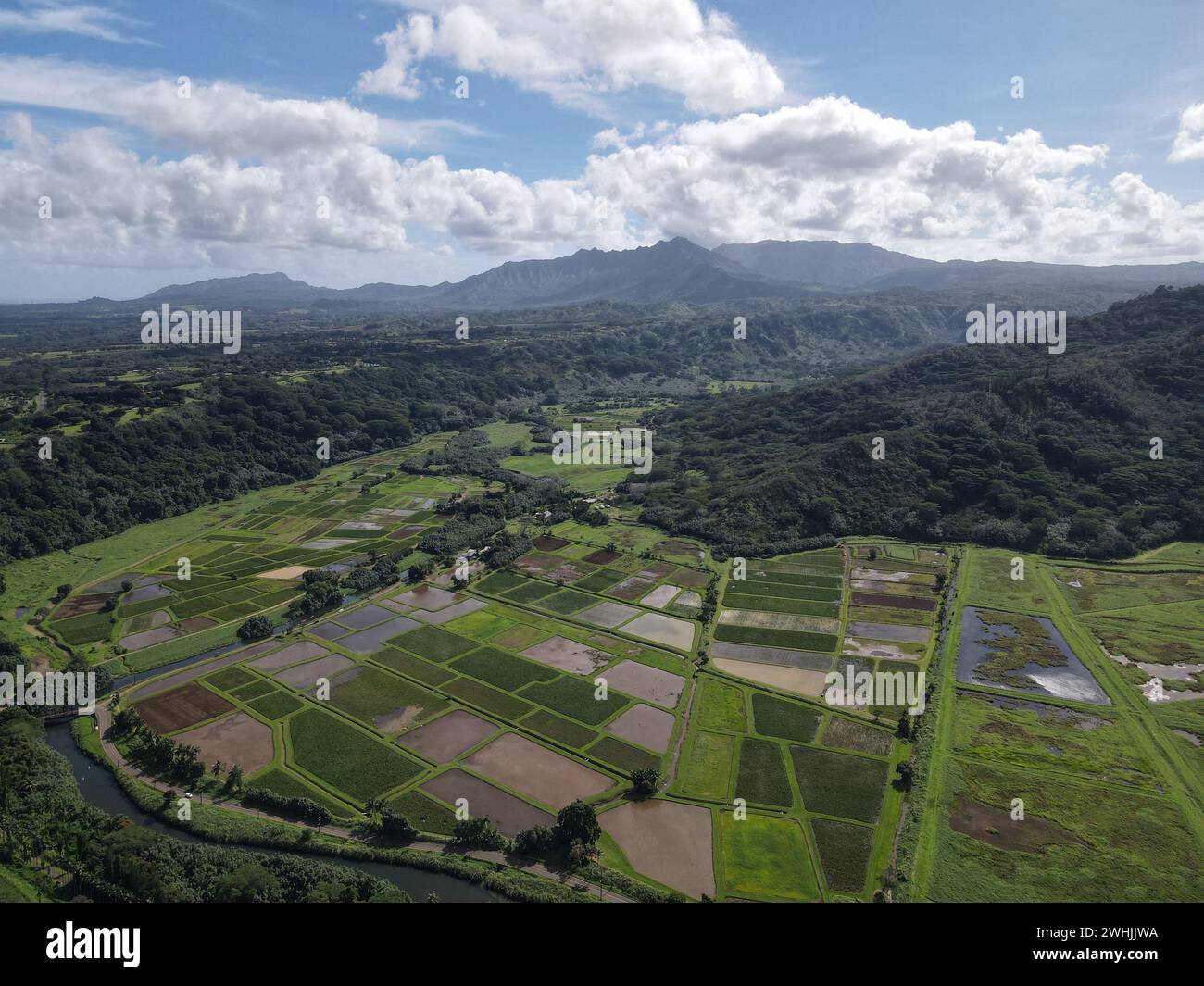Aerial view of Hanalei Valley on Kauai Stock Photo - Alamy