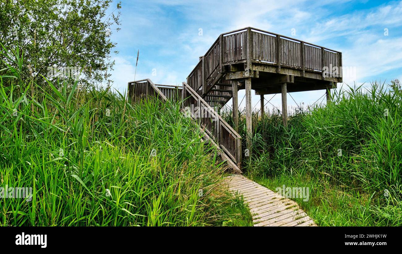 Observation platform at the Federsee Stock Photo - Alamy