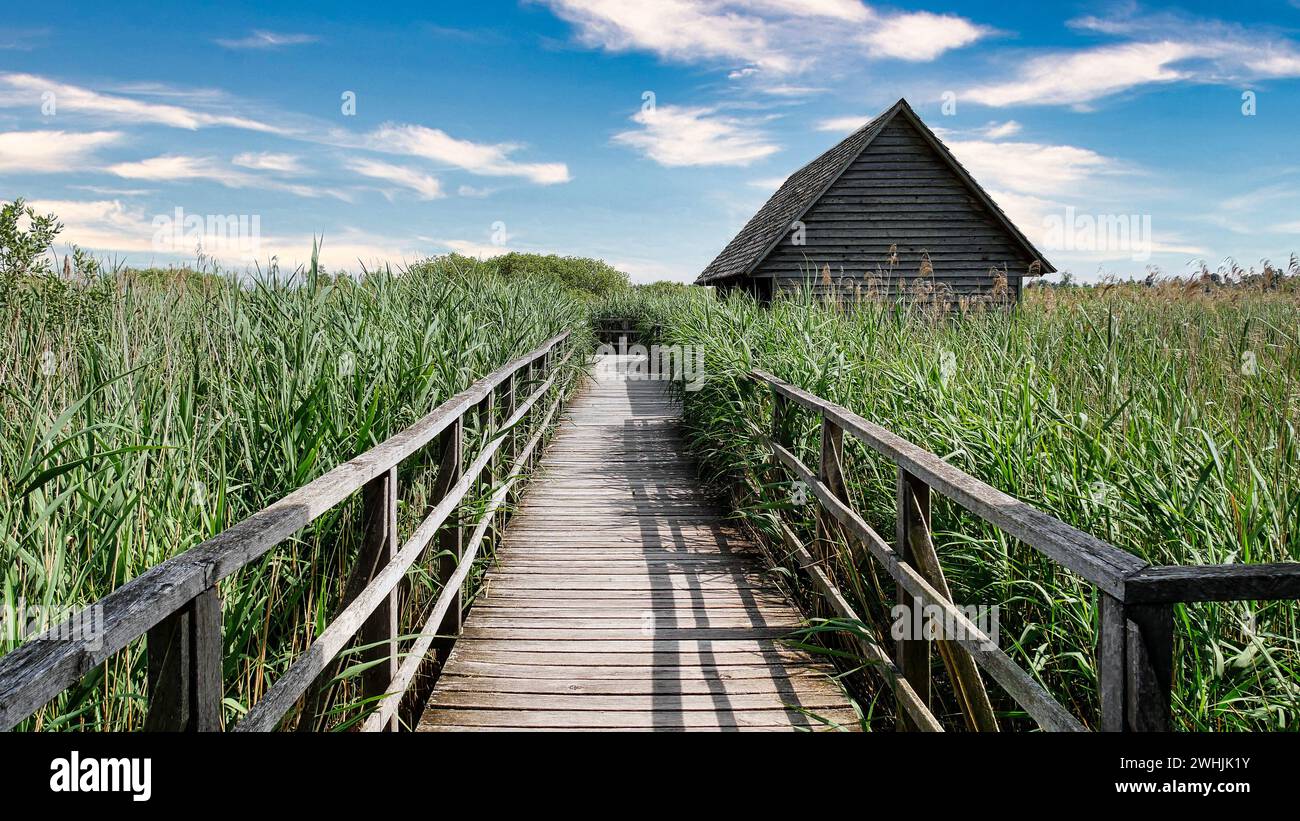 On the Federseesteg with a shelter Stock Photo - Alamy