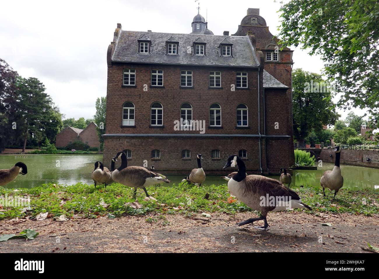 Bergerhausen Castle, moated castle from the 13th century Stock Photo ...