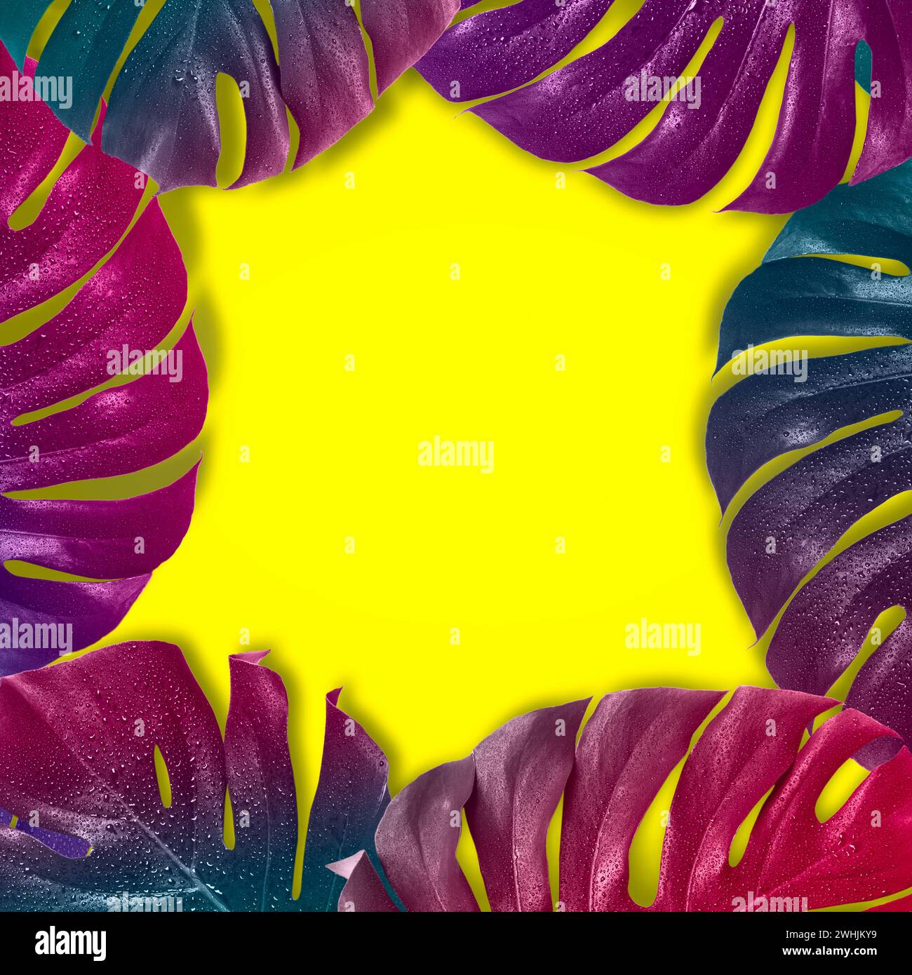 Creative saturated background. Holiday Carnival Concept Stock Photo - Alamy