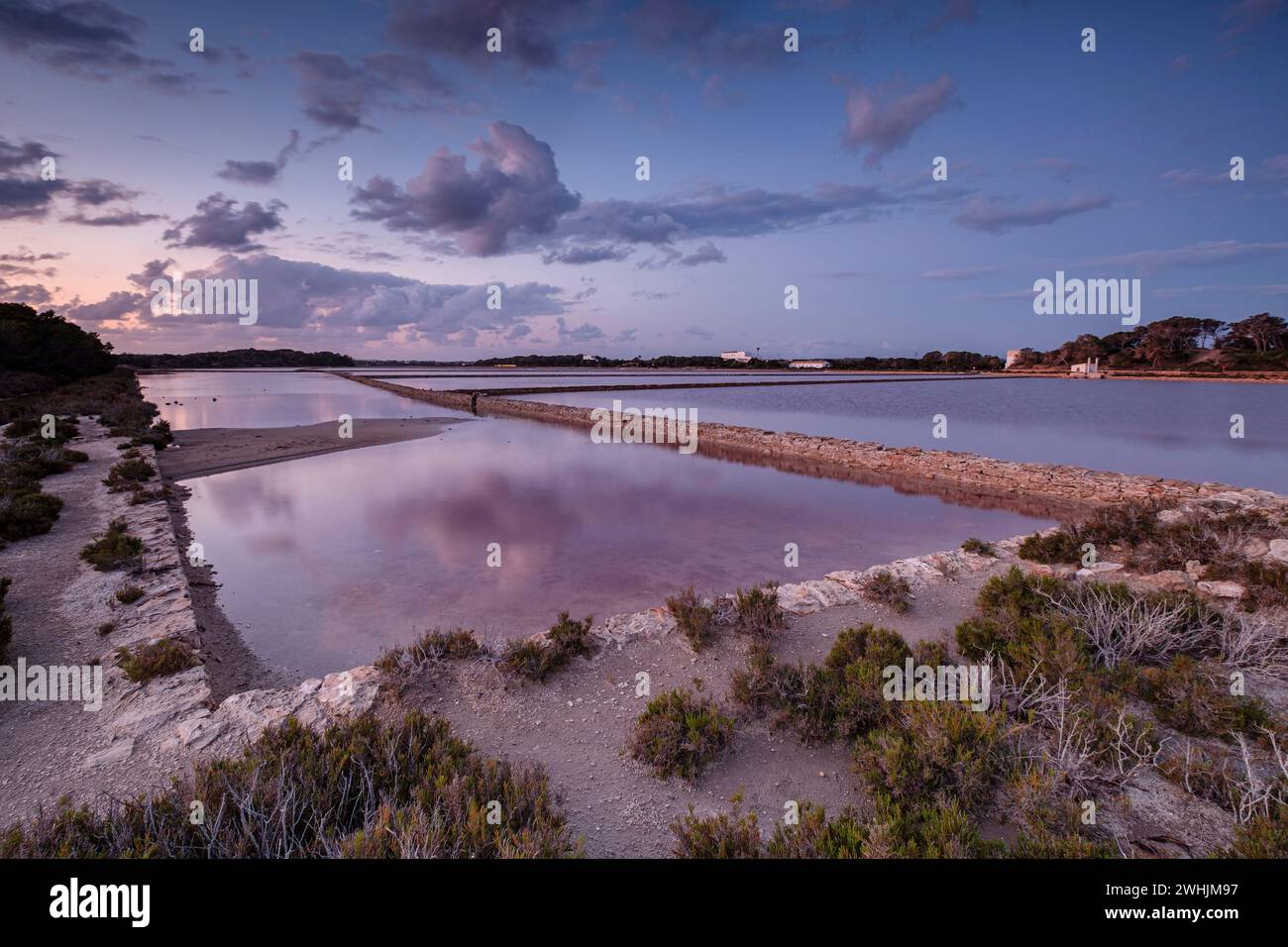 Parc Natural de Ses Salines dâ€™Eivissa i Formentera Stock Photo - Alamy