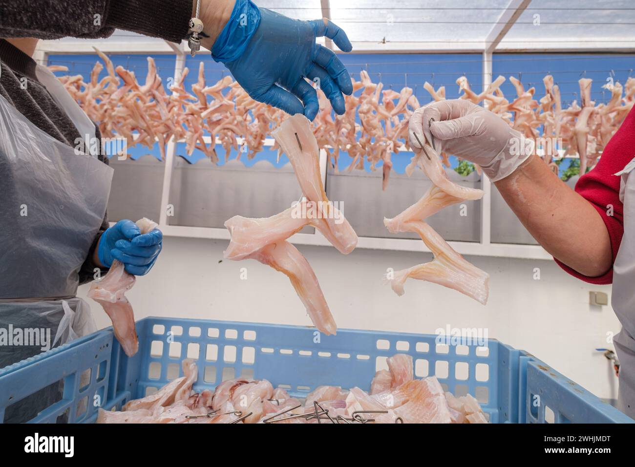 Dried fish processing hi-res stock photography and images - Alamy