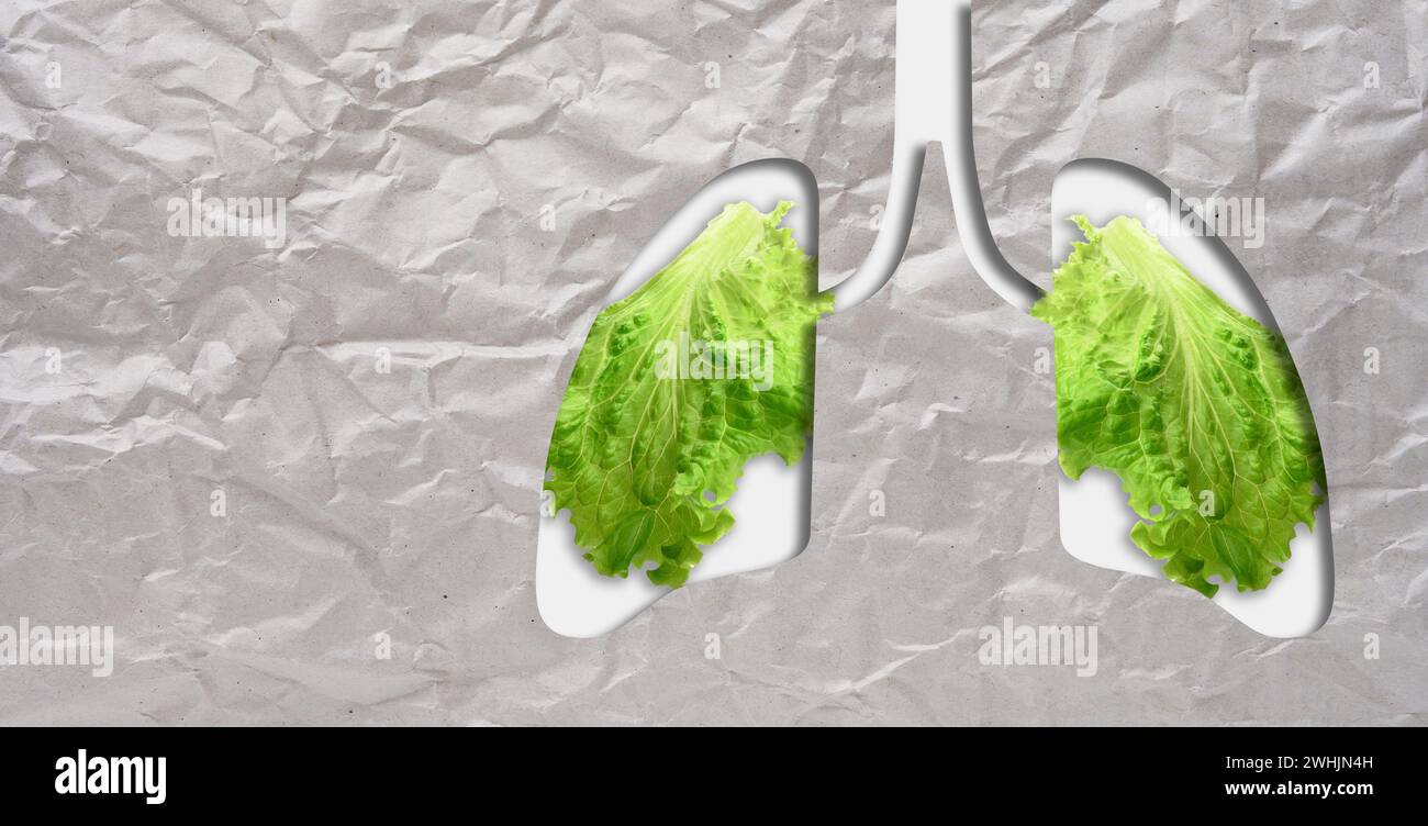 Green leaves and a cut-out lung organ. Concept of health, clean air, and reducing harmful ...