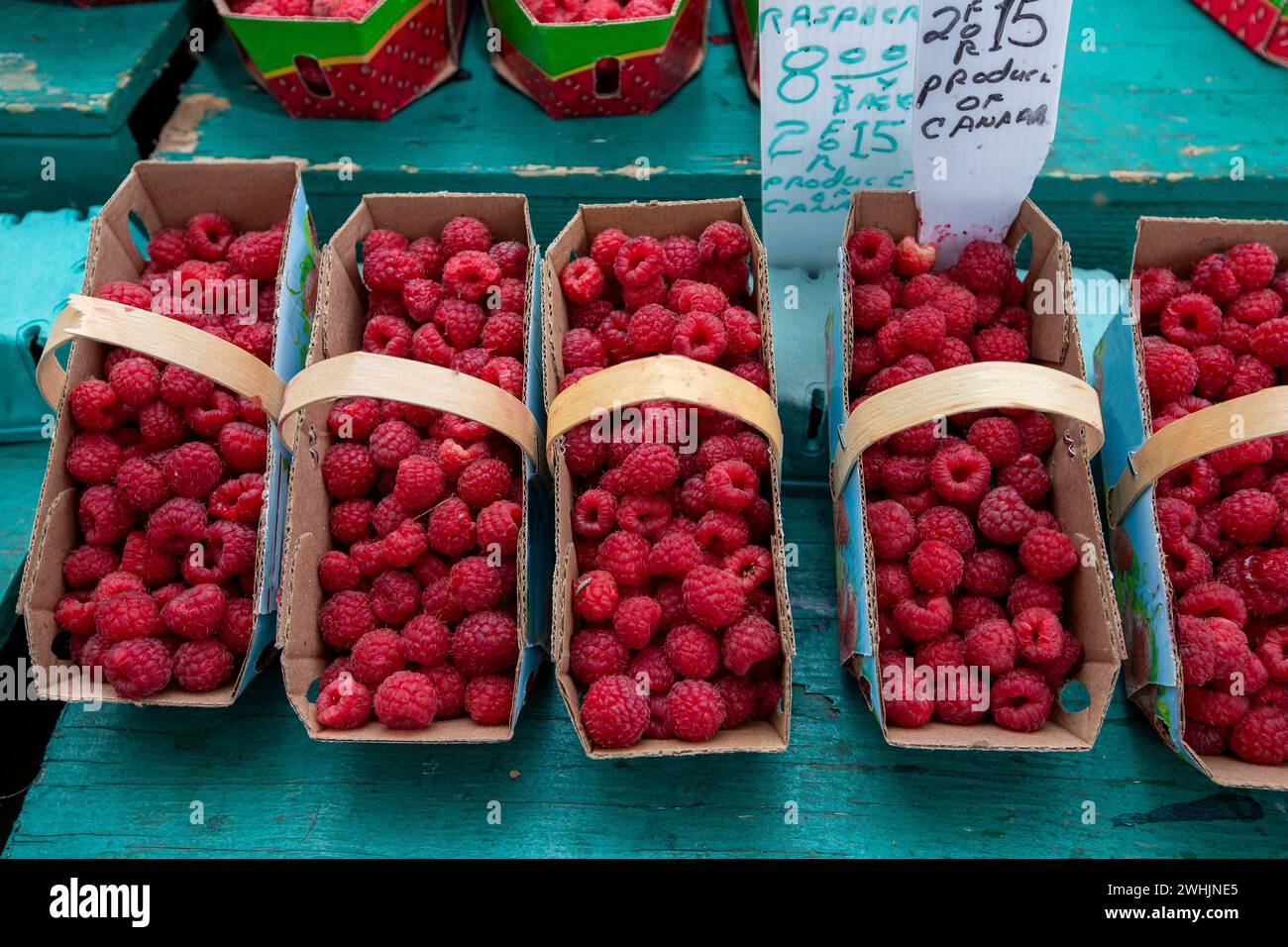 Fresh raspberries in basket for sale at the market. Ontario, Canada ...