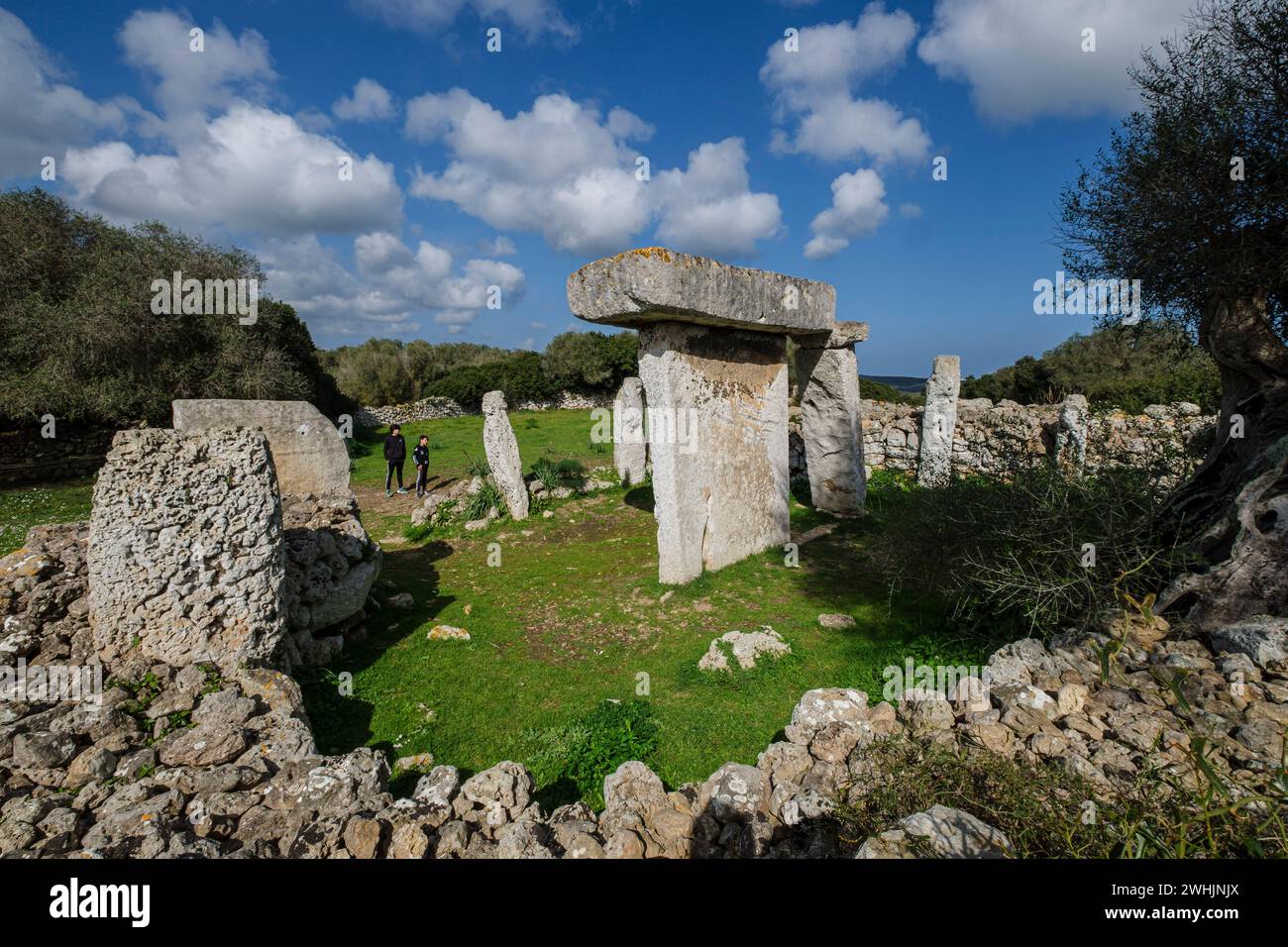 Prehistoric atmosphere hi-res stock photography and images - Alamy