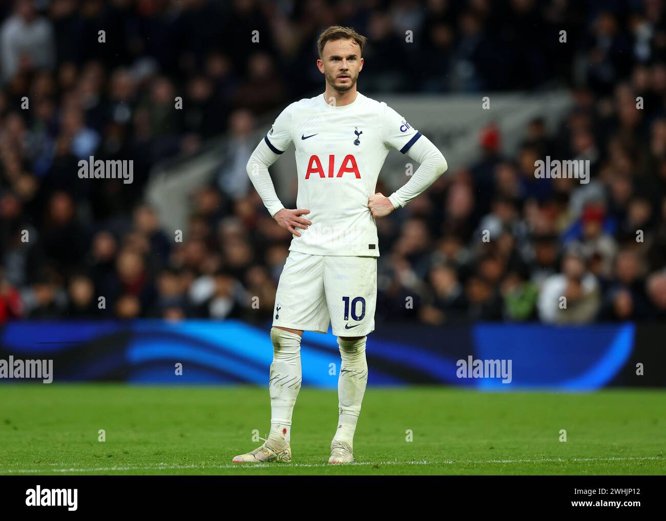 James maddison tottenham hotspur hi-res stock photography and images ...