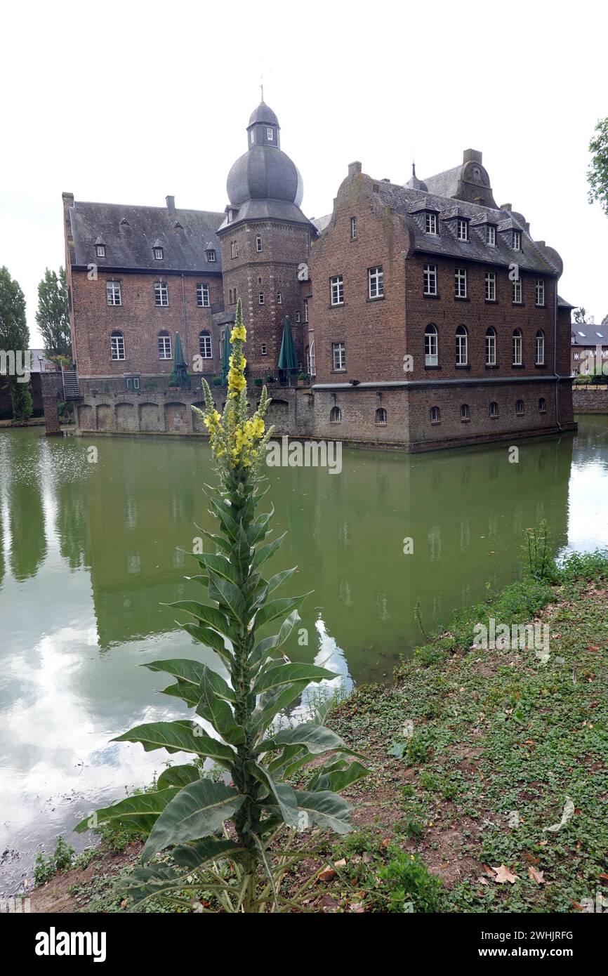Bergerhausen Castle, moated castle from the 13th century Stock Photo ...