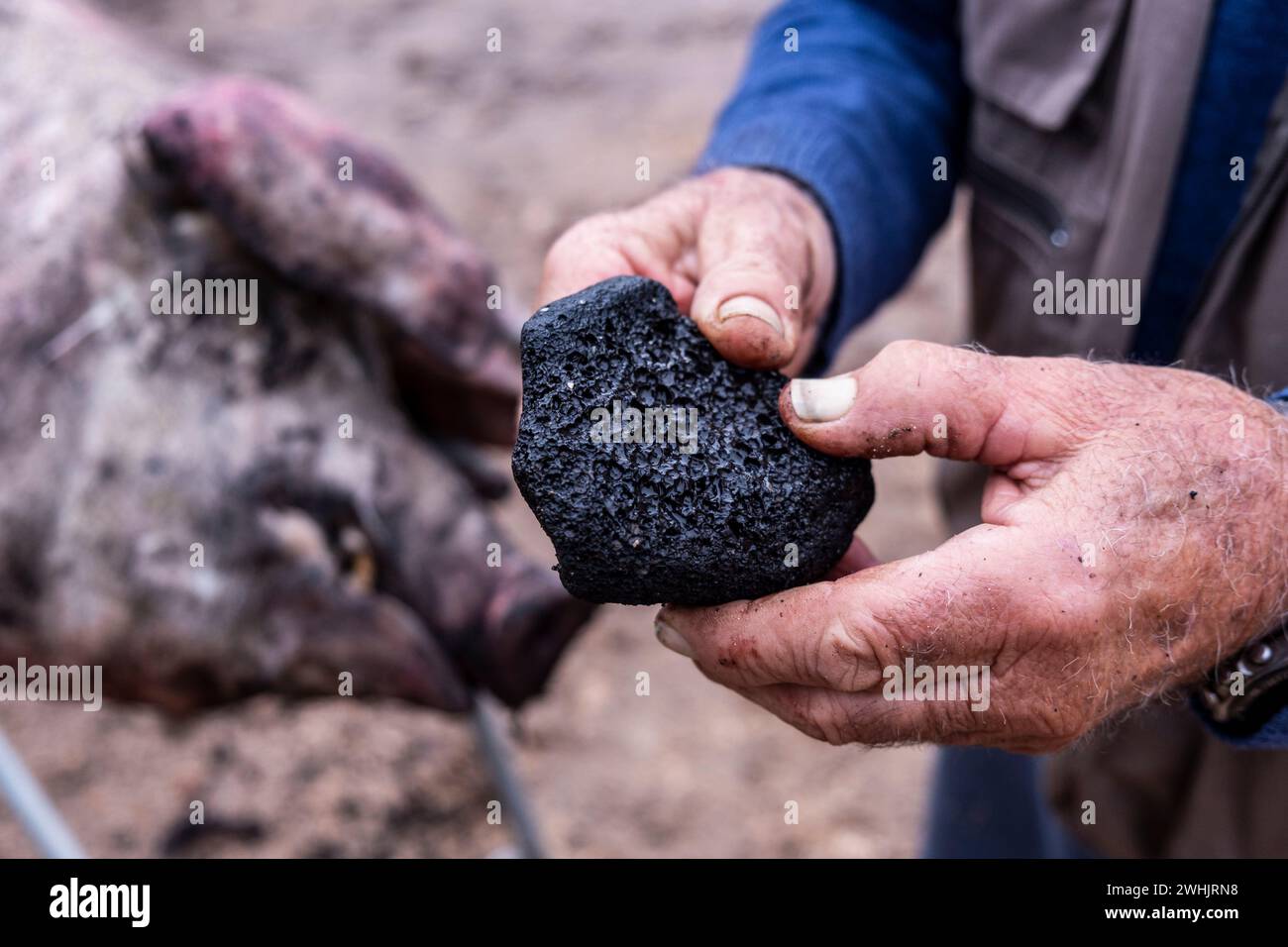 Volcanic stone scraper Stock Photo - Alamy