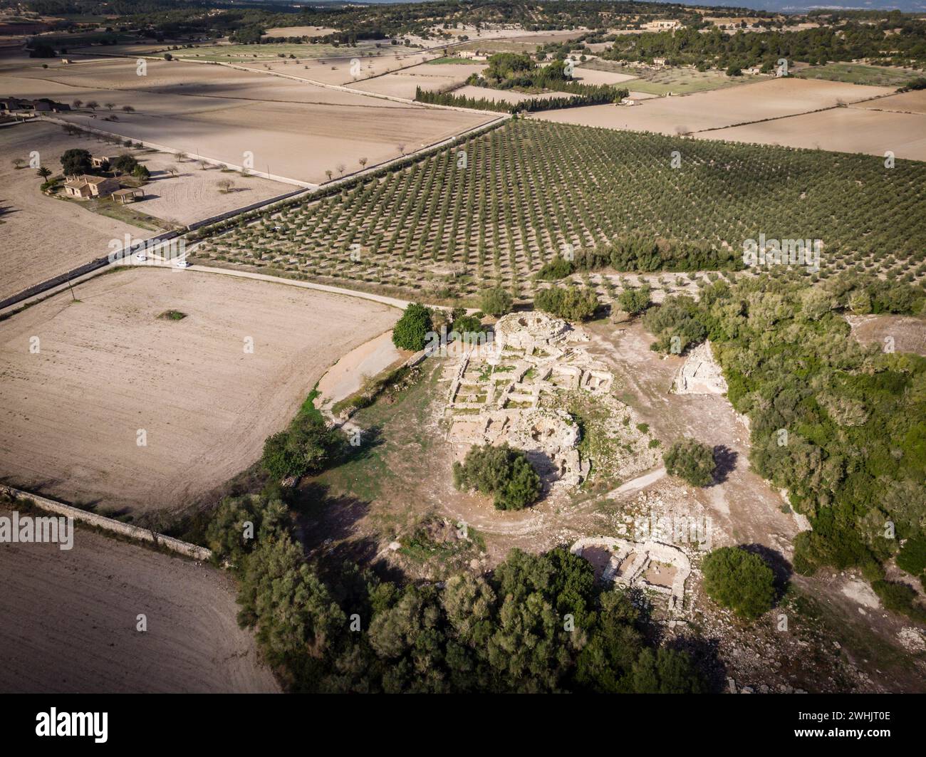 Food in prehistory hi-res stock photography and images - Alamy