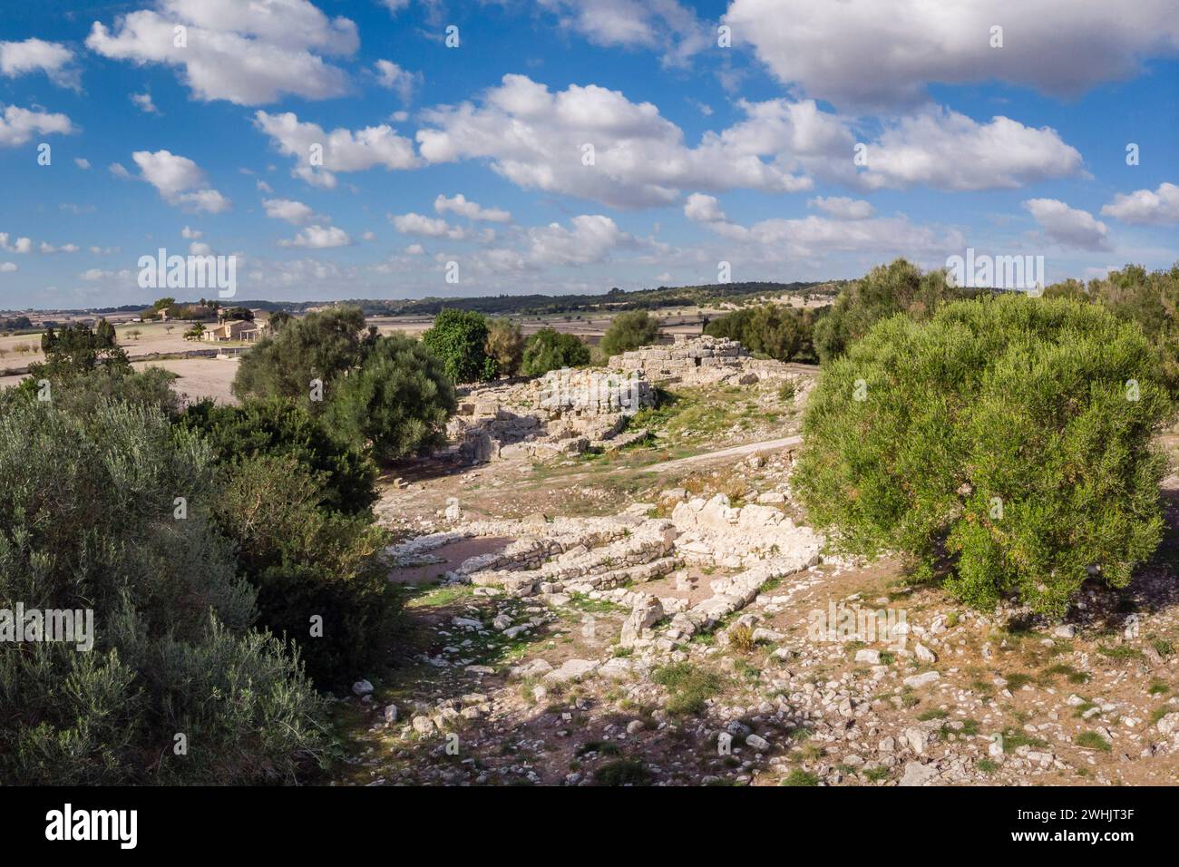 Food in prehistory hi-res stock photography and images - Alamy