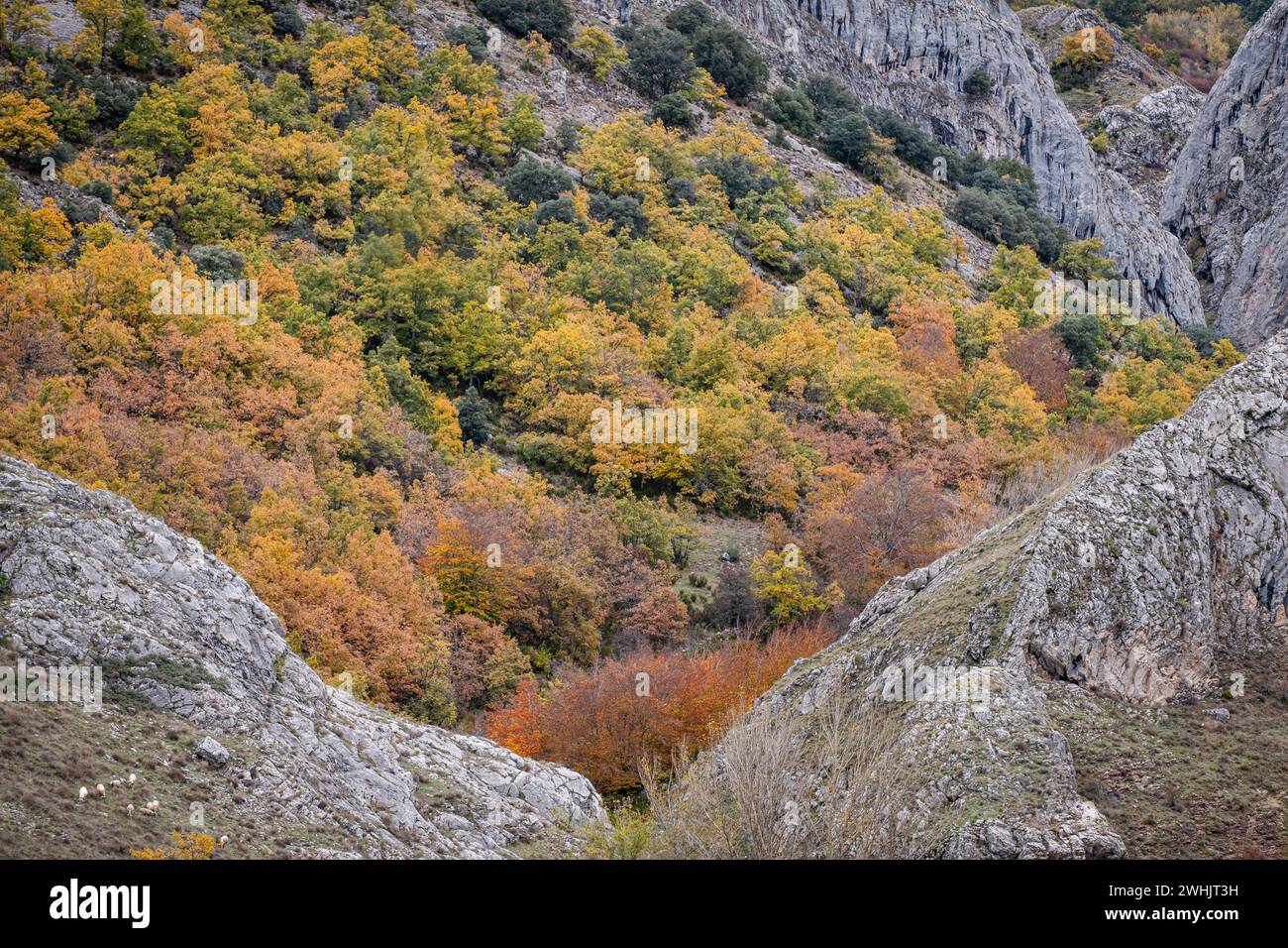 Era de hi-res stock photography and images - Alamy