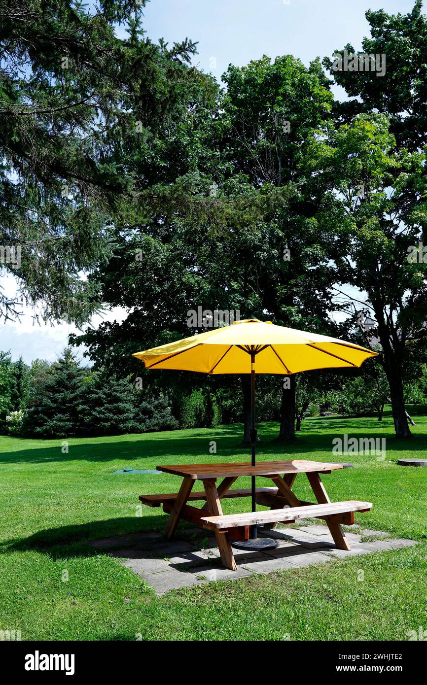 rural landscape with wooden table with benches and yellow umbrella on a ...