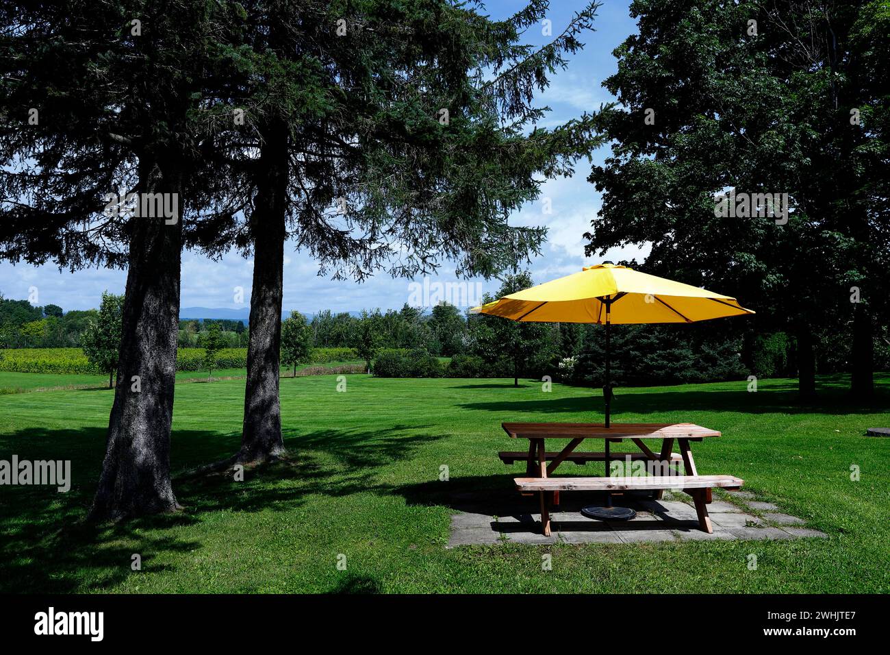 rural landscape with wooden table with benches and yellow umbrella on a ...