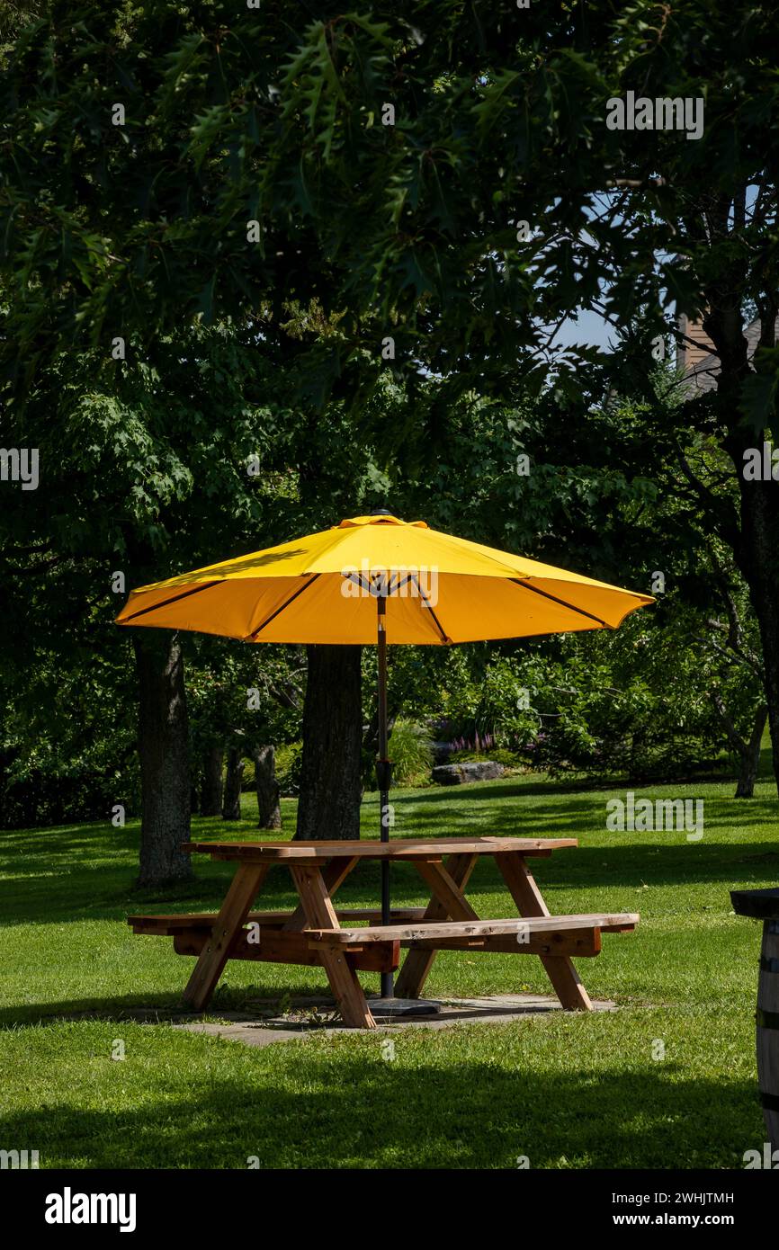 rural landscape with wooden table with benches and yellow umbrella on a ...