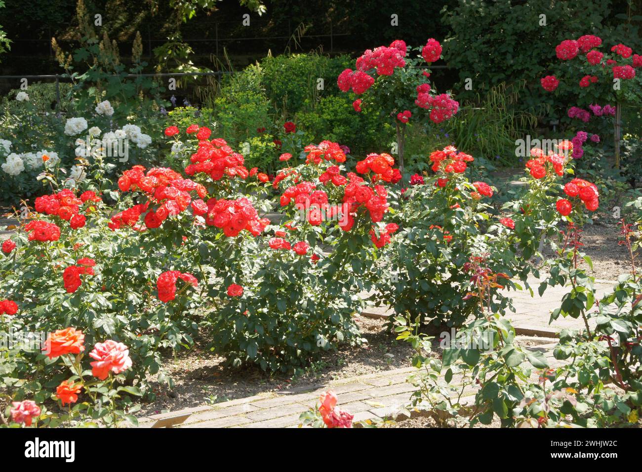 Planten un blomen hi-res stock photography and images - Alamy