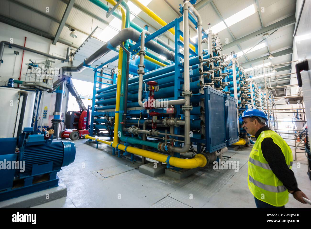 Plant racks hi-res stock photography and images - Alamy