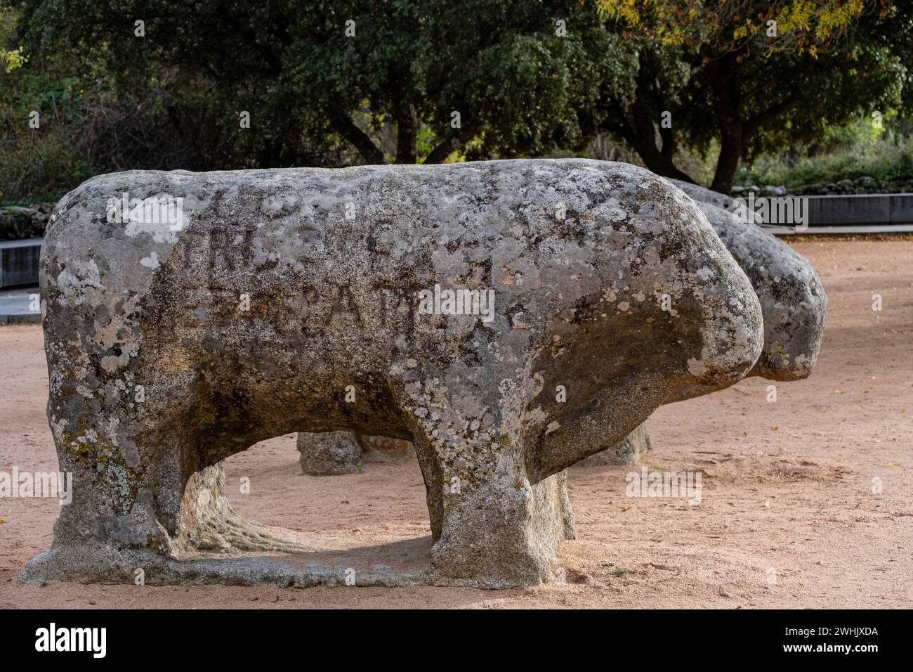 Guisando bulls hi-res stock photography and images - Alamy