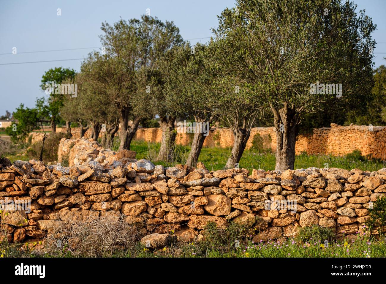 Stone construction in field hi-res stock photography and images - Alamy