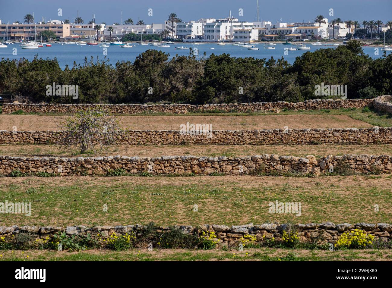 Traditional stone walls for agricultural land Stock Photo - Alamy