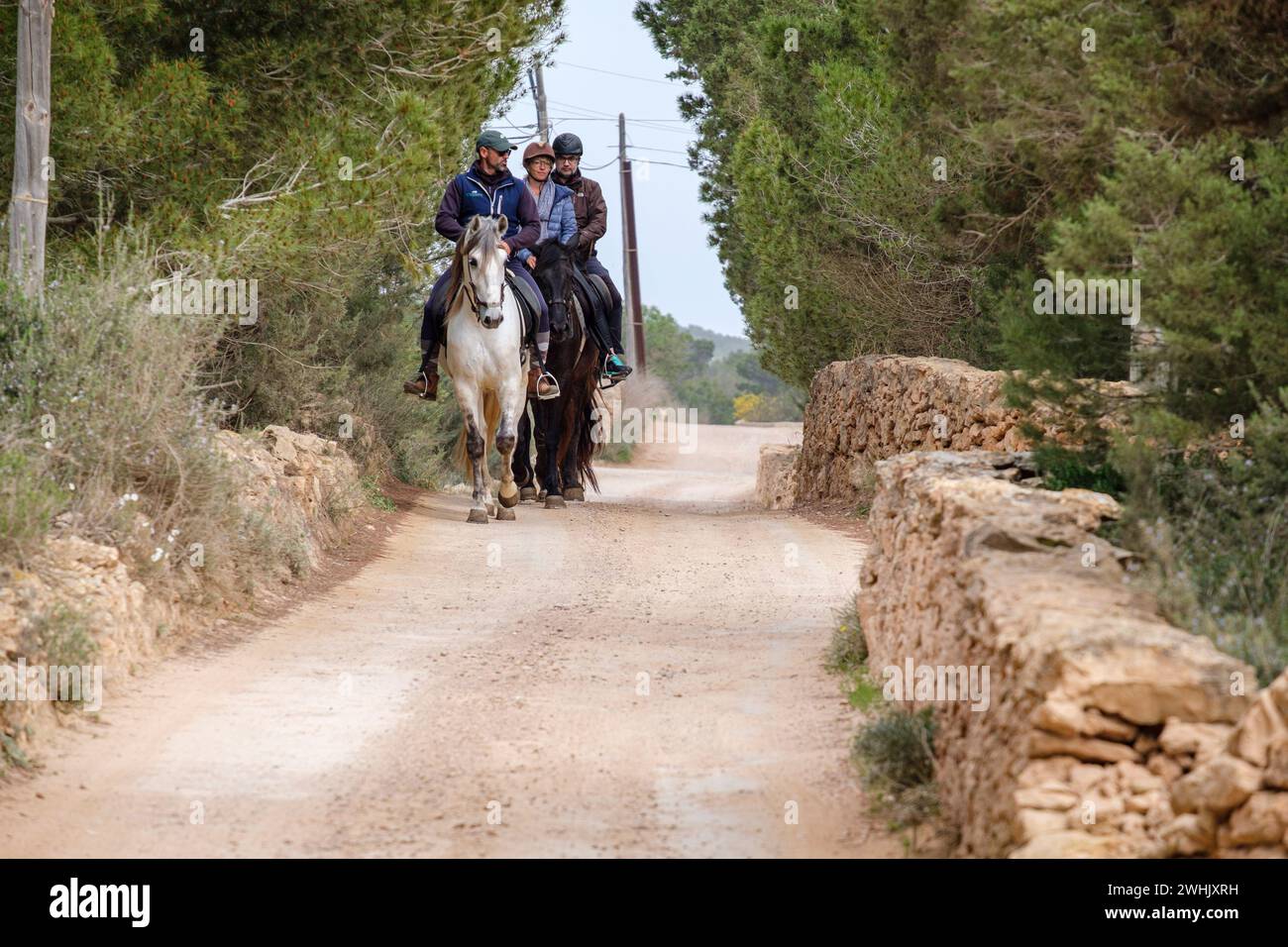 Horse route hi-res stock photography and images - Alamy