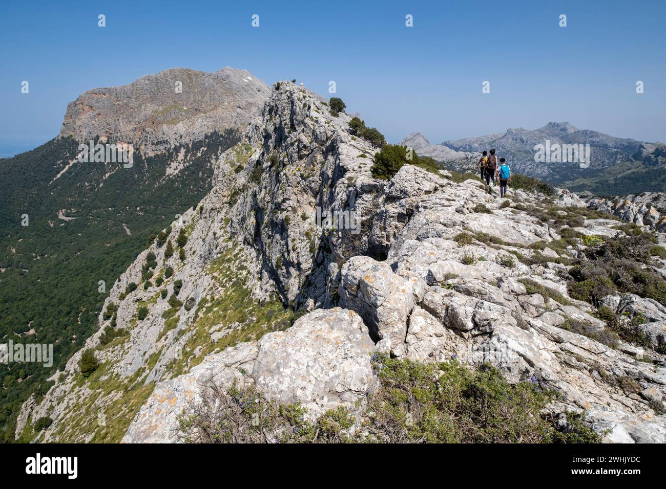 Tramuntana sierra walking hi-res stock photography and images - Alamy