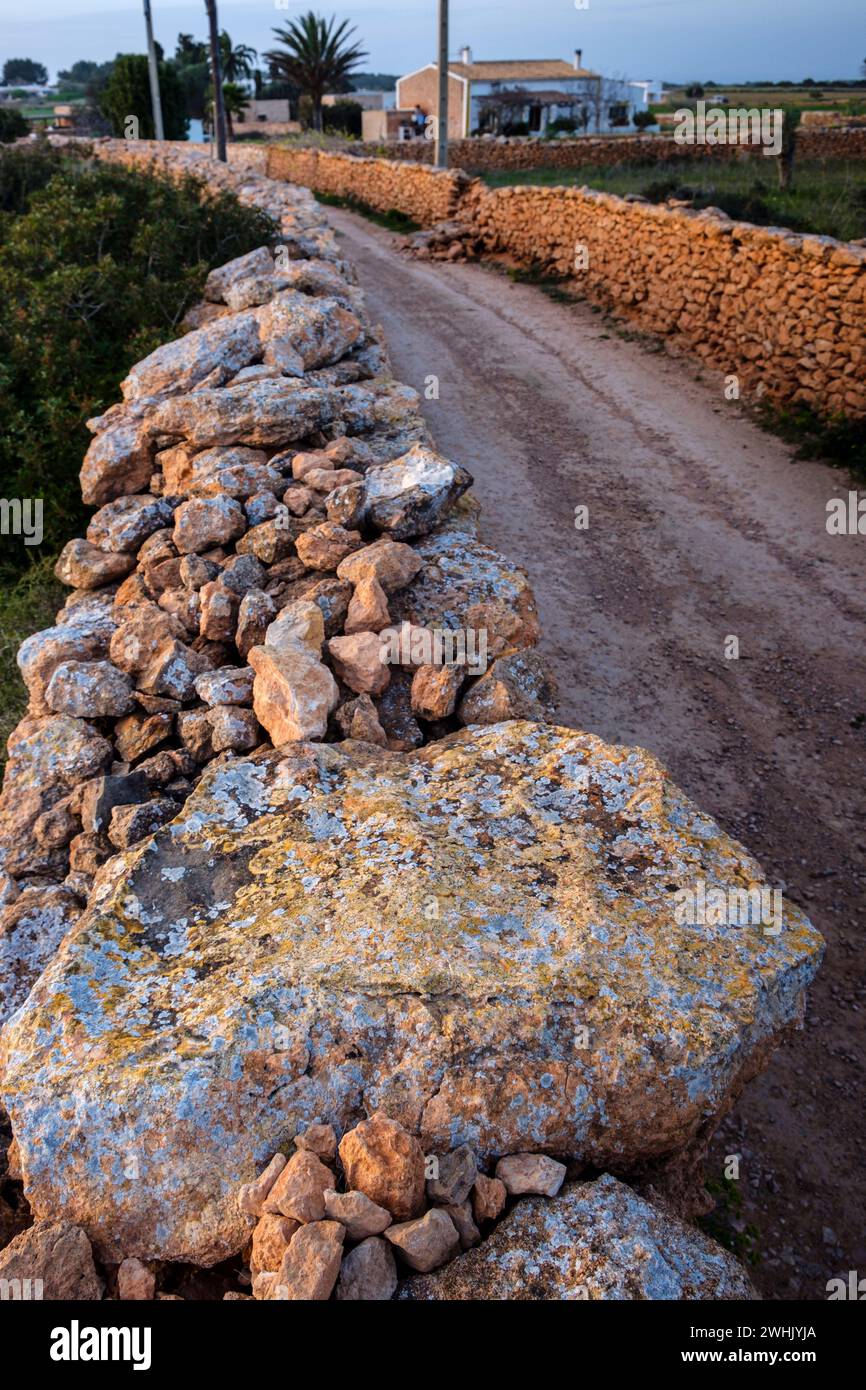 Traditional stone walls for agricultural land Stock Photo - Alamy