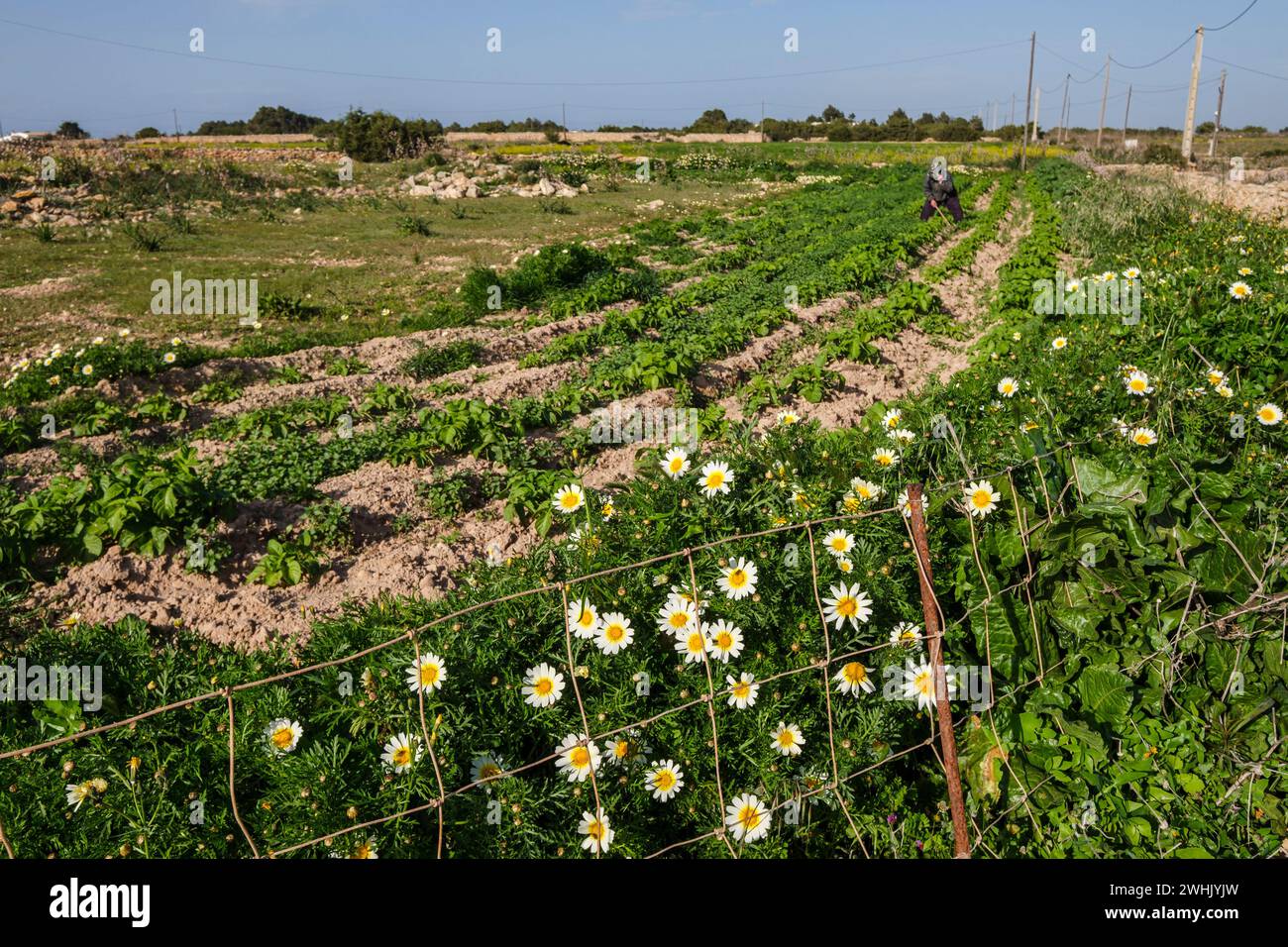 Agricultural patch hi-res stock photography and images - Alamy